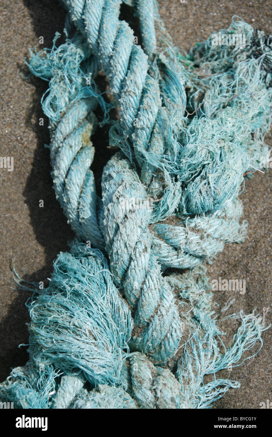 old rope washed up on sand coast shore by sea Stock Photo - Alamy