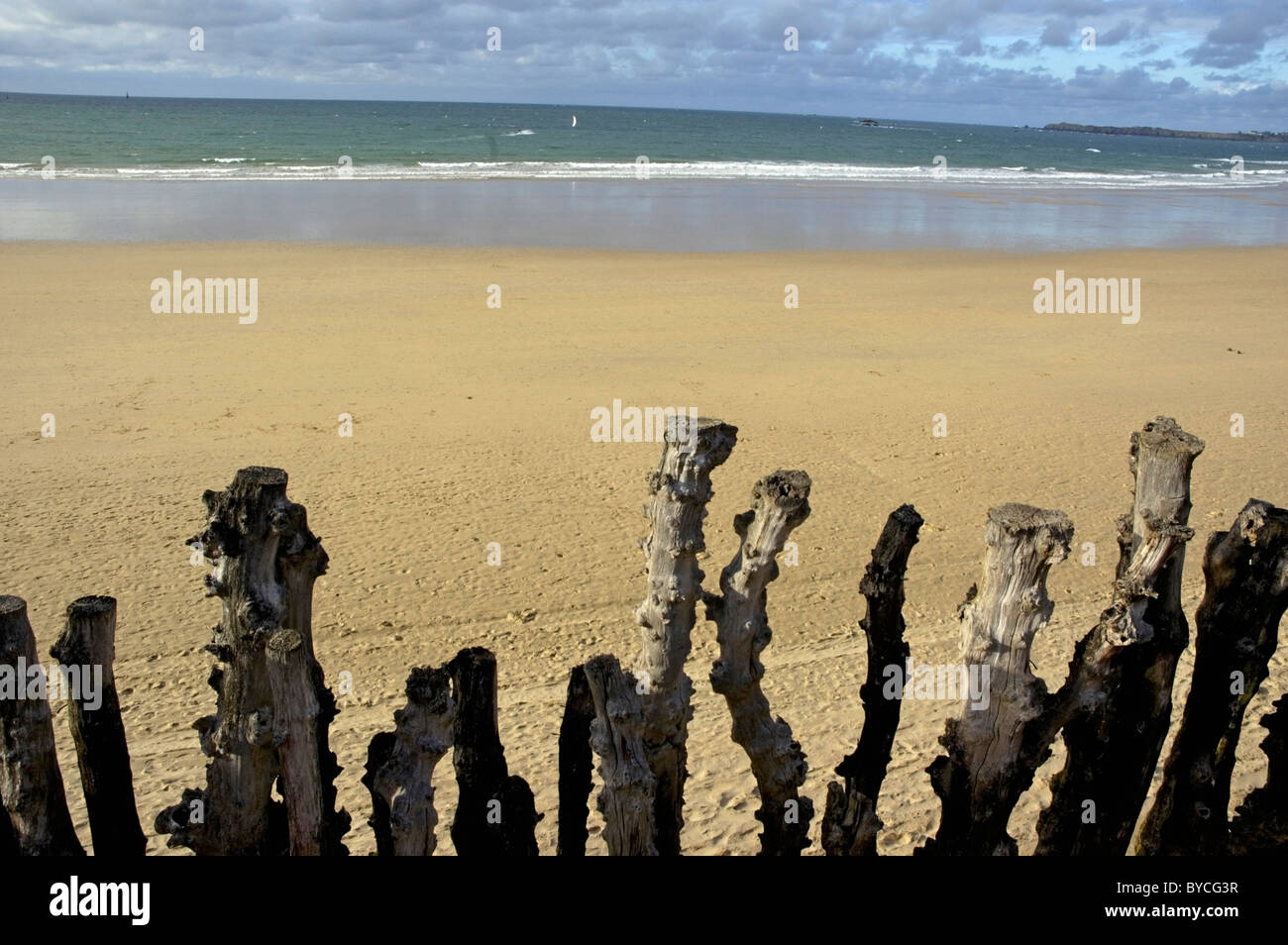 Stakes driven hi-res stock photography and images - Alamy