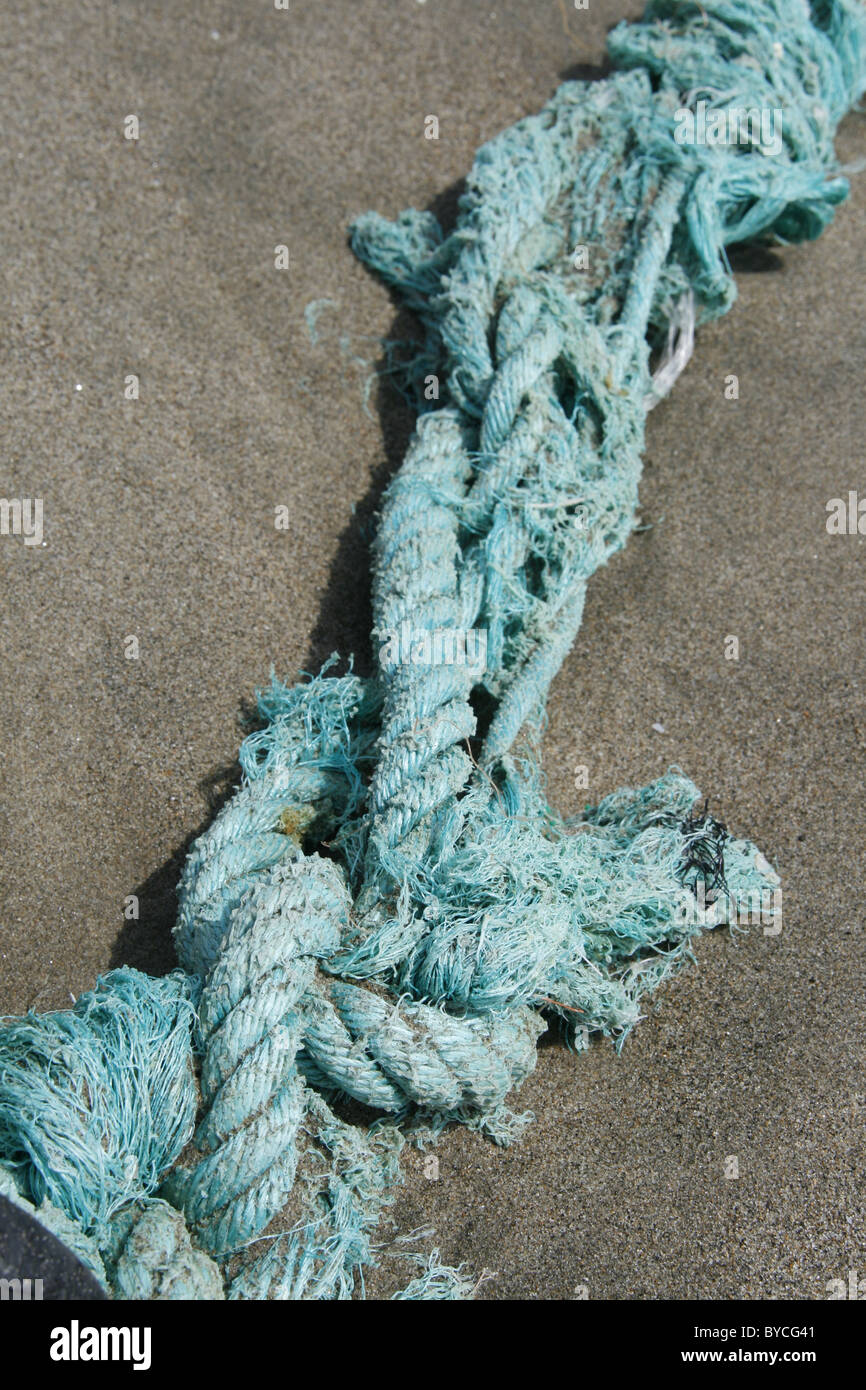old rope washed up on sand coast shore by sea Stock Photo - Alamy