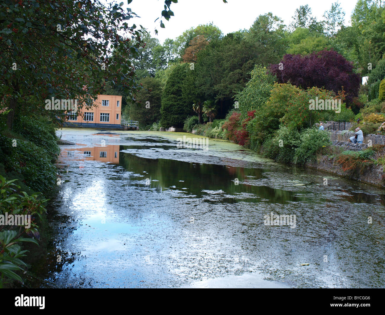 pond in Cheddar,uk Stock Photo - Alamy