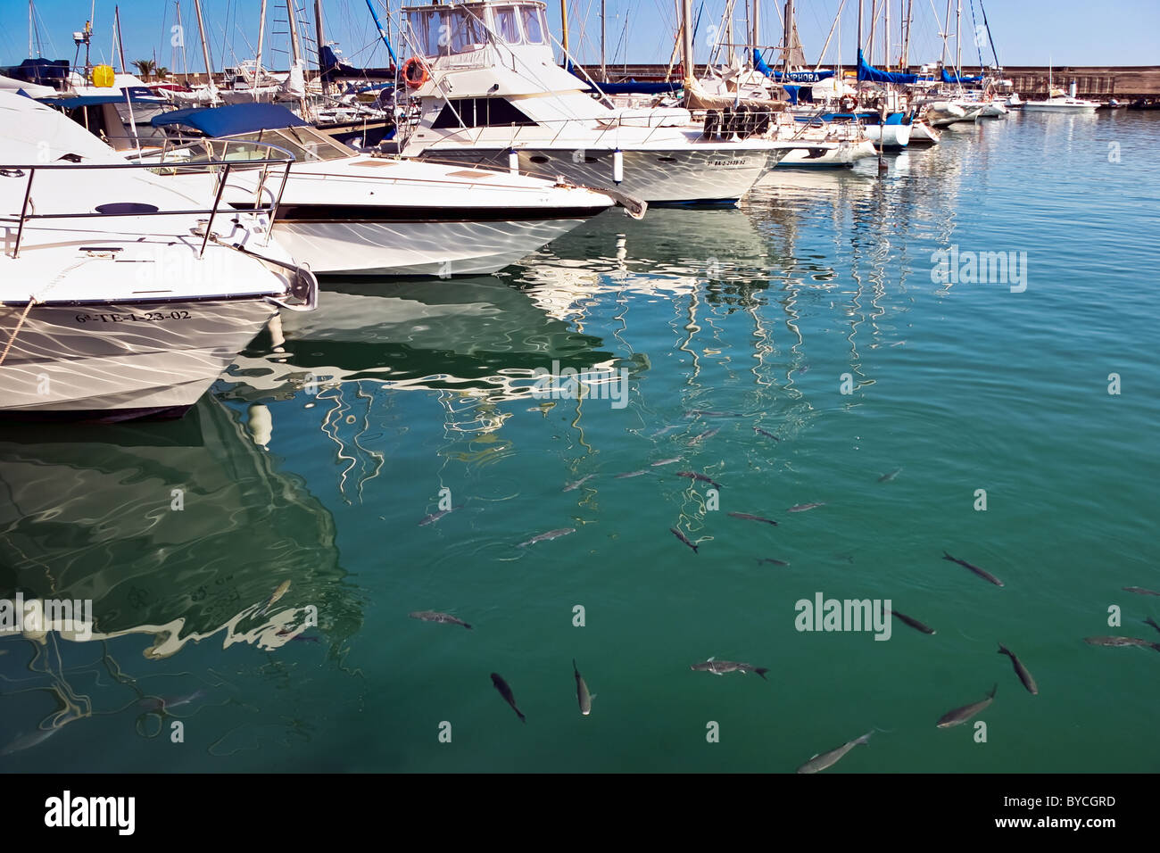 Lanzarote cruise port hi-res stock photography and images - Alamy