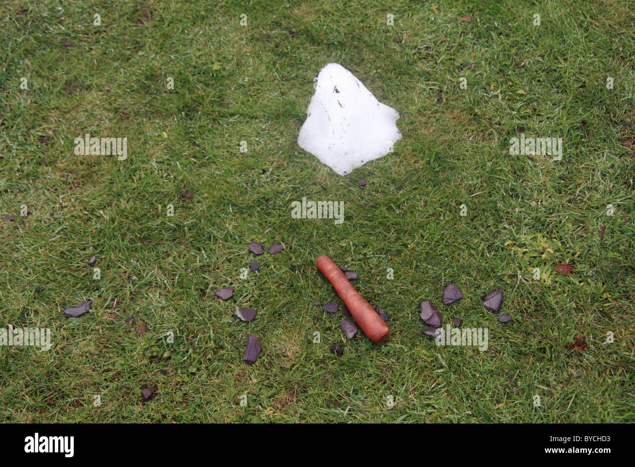 Melted patch of snow hi-res stock photography and images - Alamy