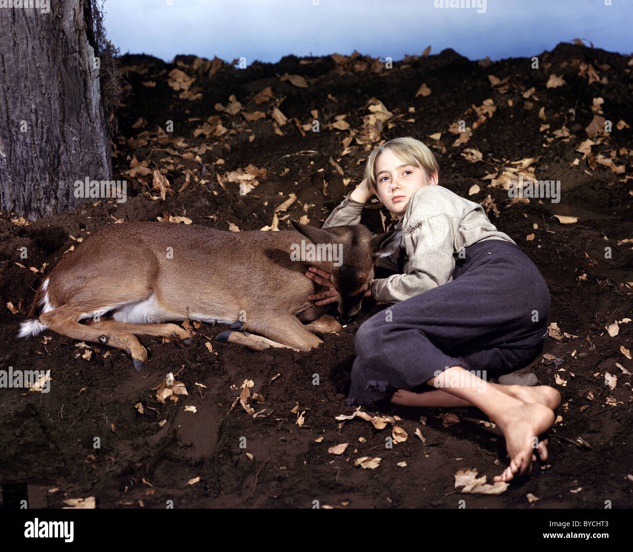 The yearling movie clarence brown hi-res stock photography and images ...