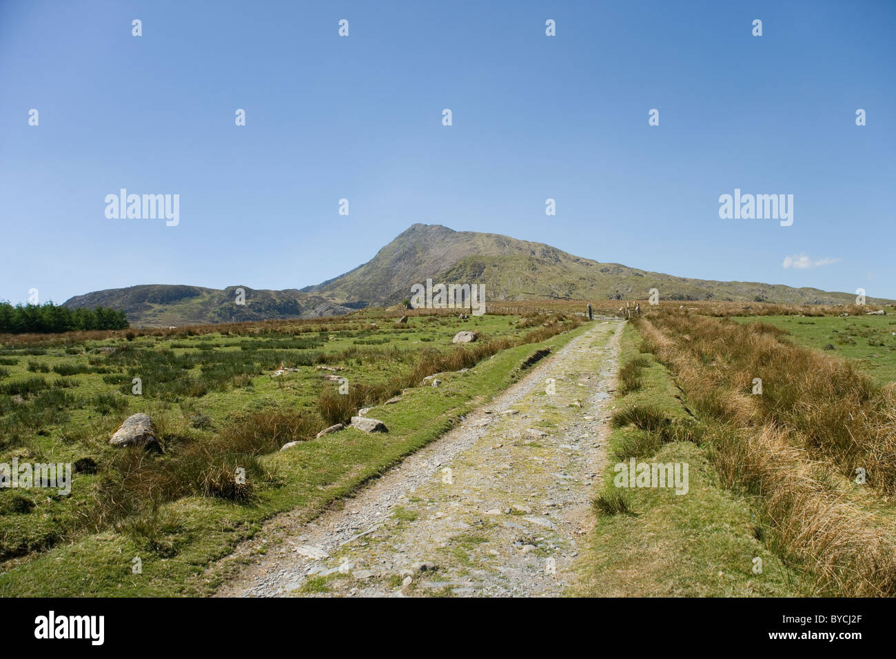 Moel Siabod from the path from Capel Curig in Snowdonia Stock Photo - Alamy