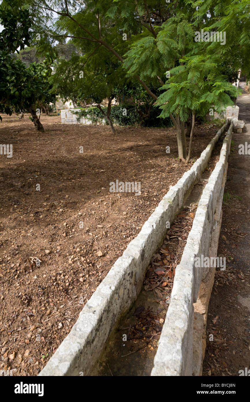 The irrigation troughs in the orange groves of Buskett Gardens, near ...