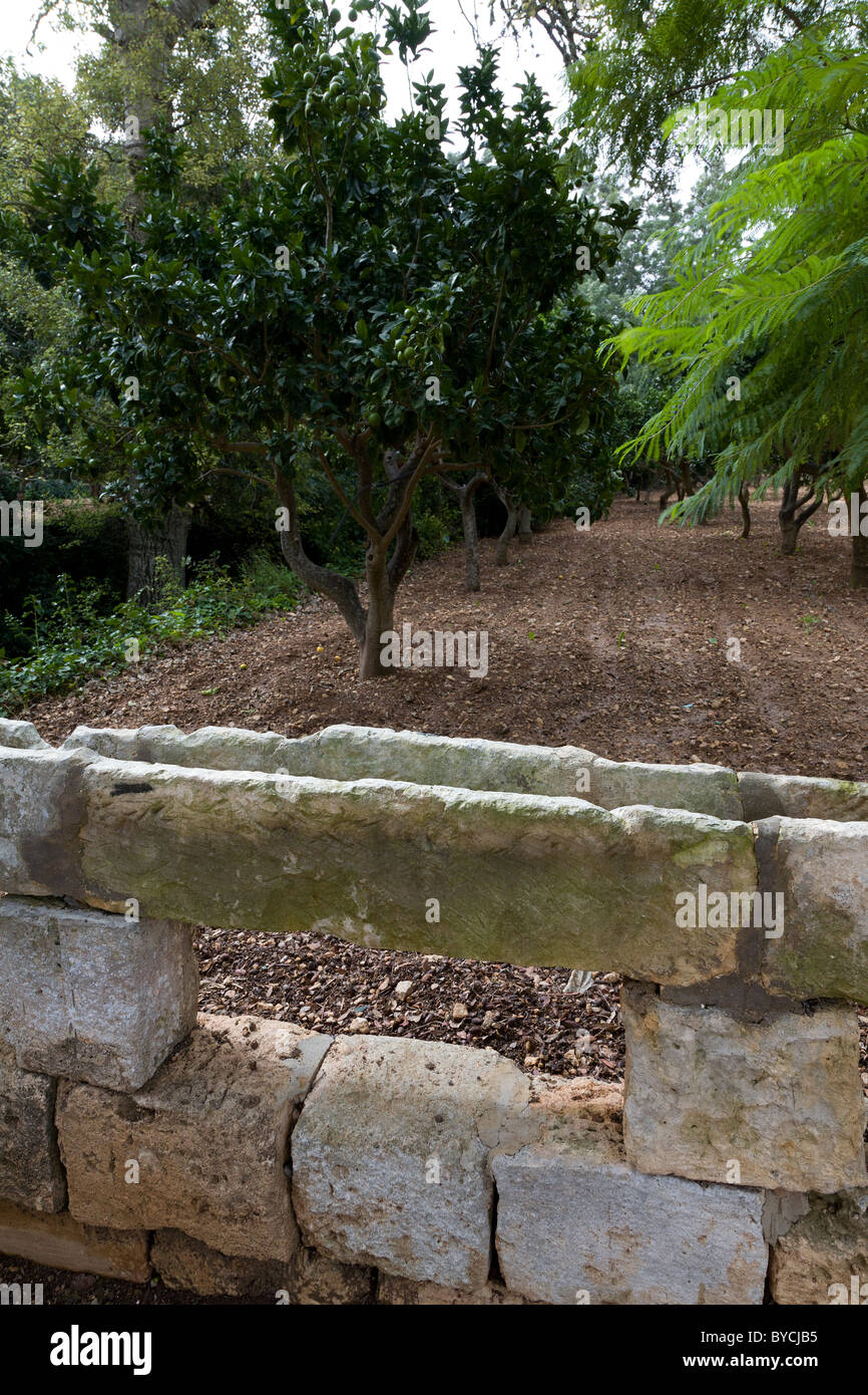 Orange grand master hi-res stock photography and images - Alamy