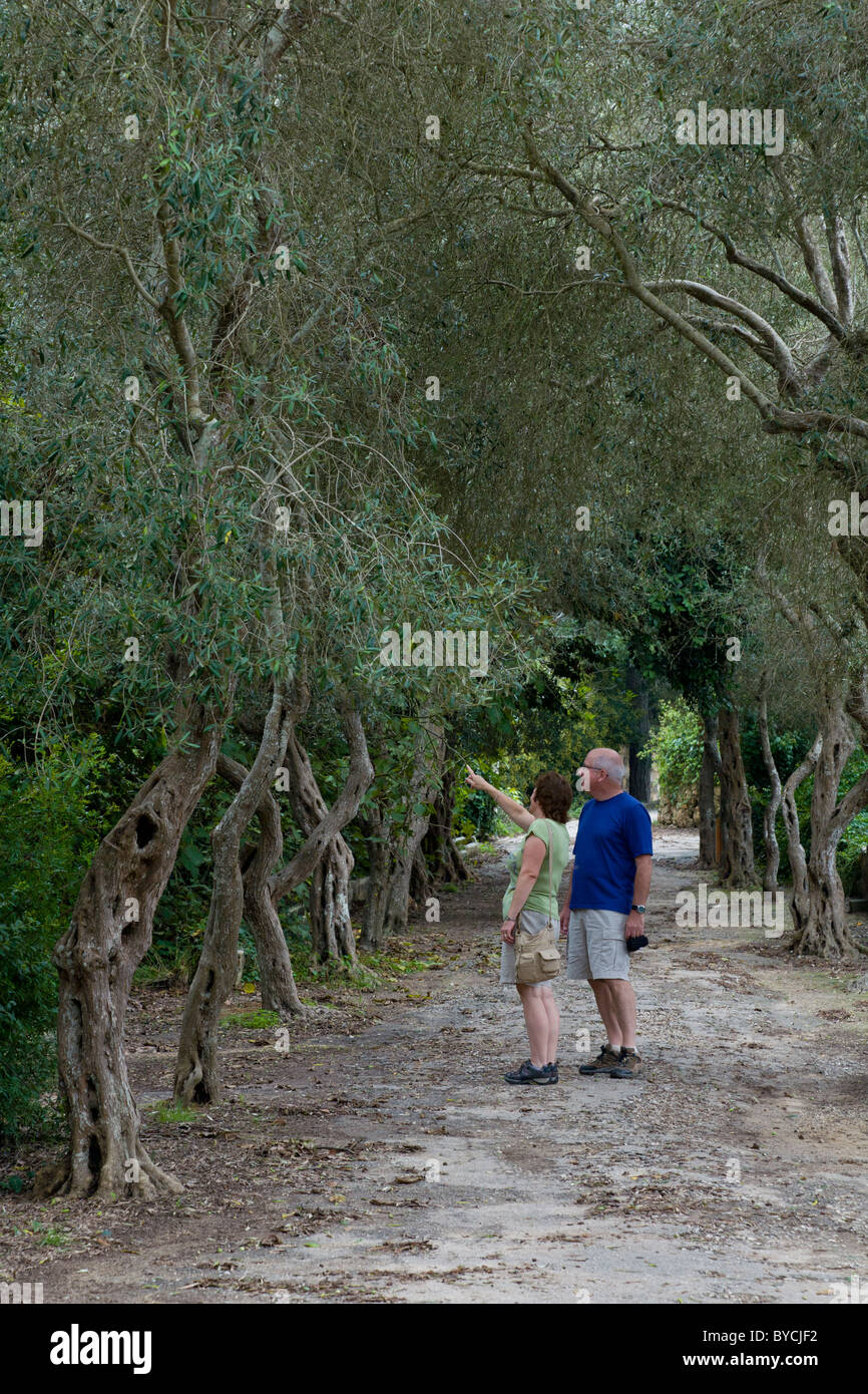 Buskett gardens rabat hi-res stock photography and images - Alamy