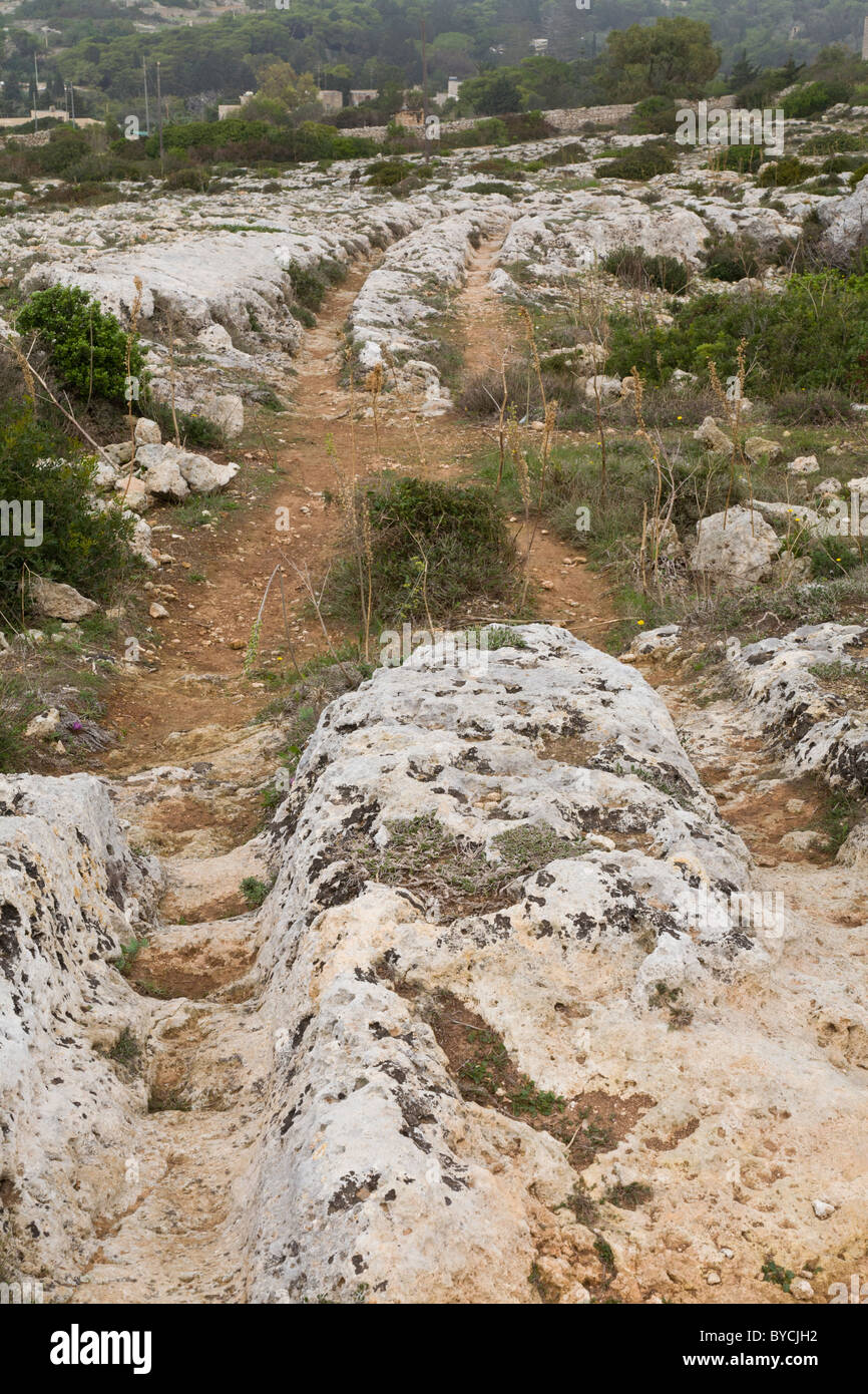 Bronze age cart ruts at Misrah Ghar il-Kbir, known as Clapham Junction ...