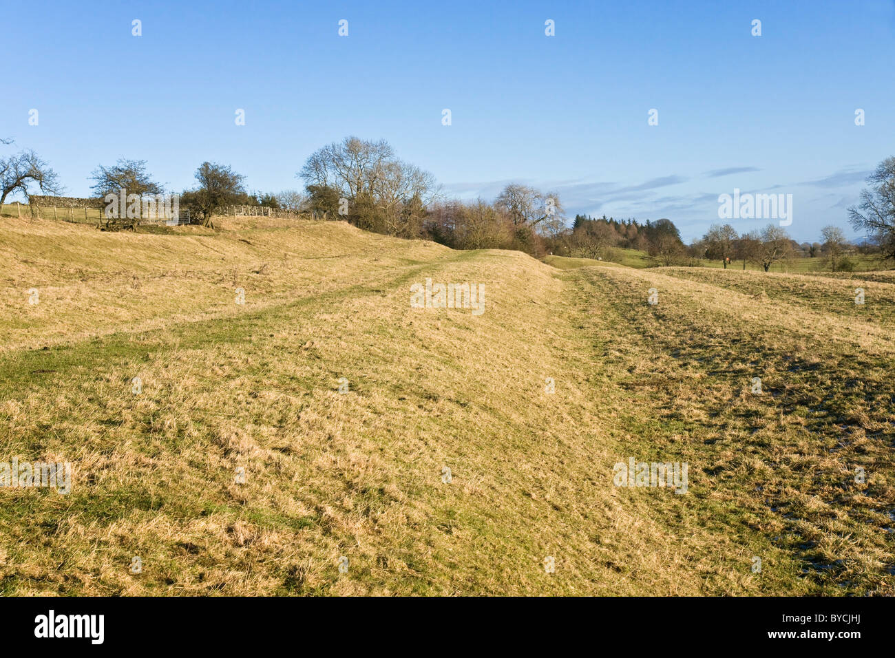Farmland in winter. The picture shows bare trees and dead grass. The ...