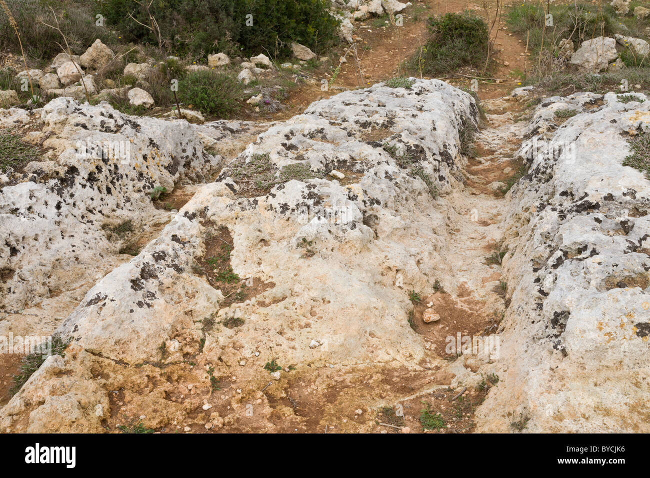 Bronze age cart ruts at Misrah Ghar il-Kbir, known as Clapham Junction ...