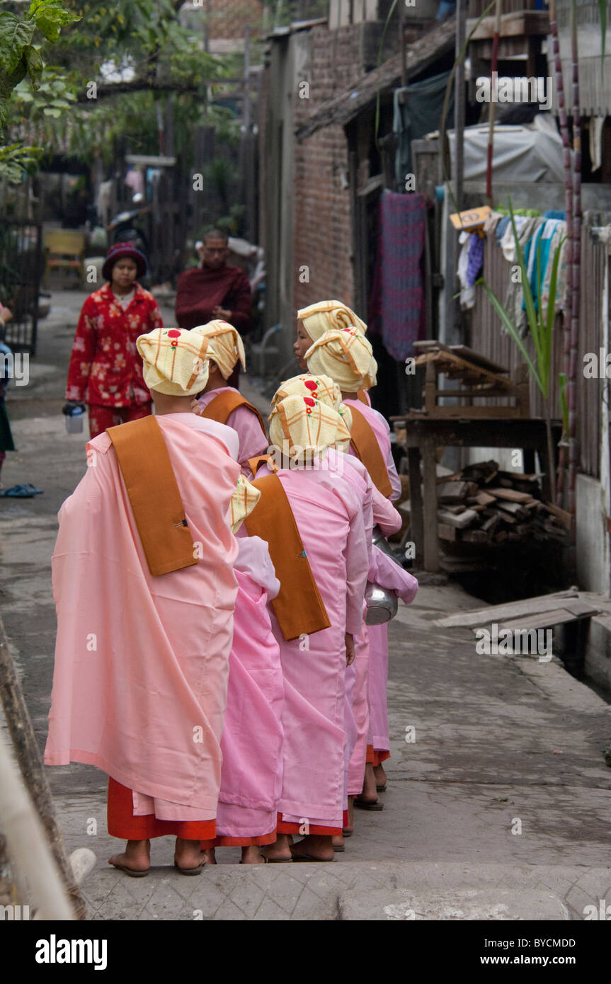 Myanmar (aka Burma), Mandalay. Buddhist nuns in typical pink robes ...