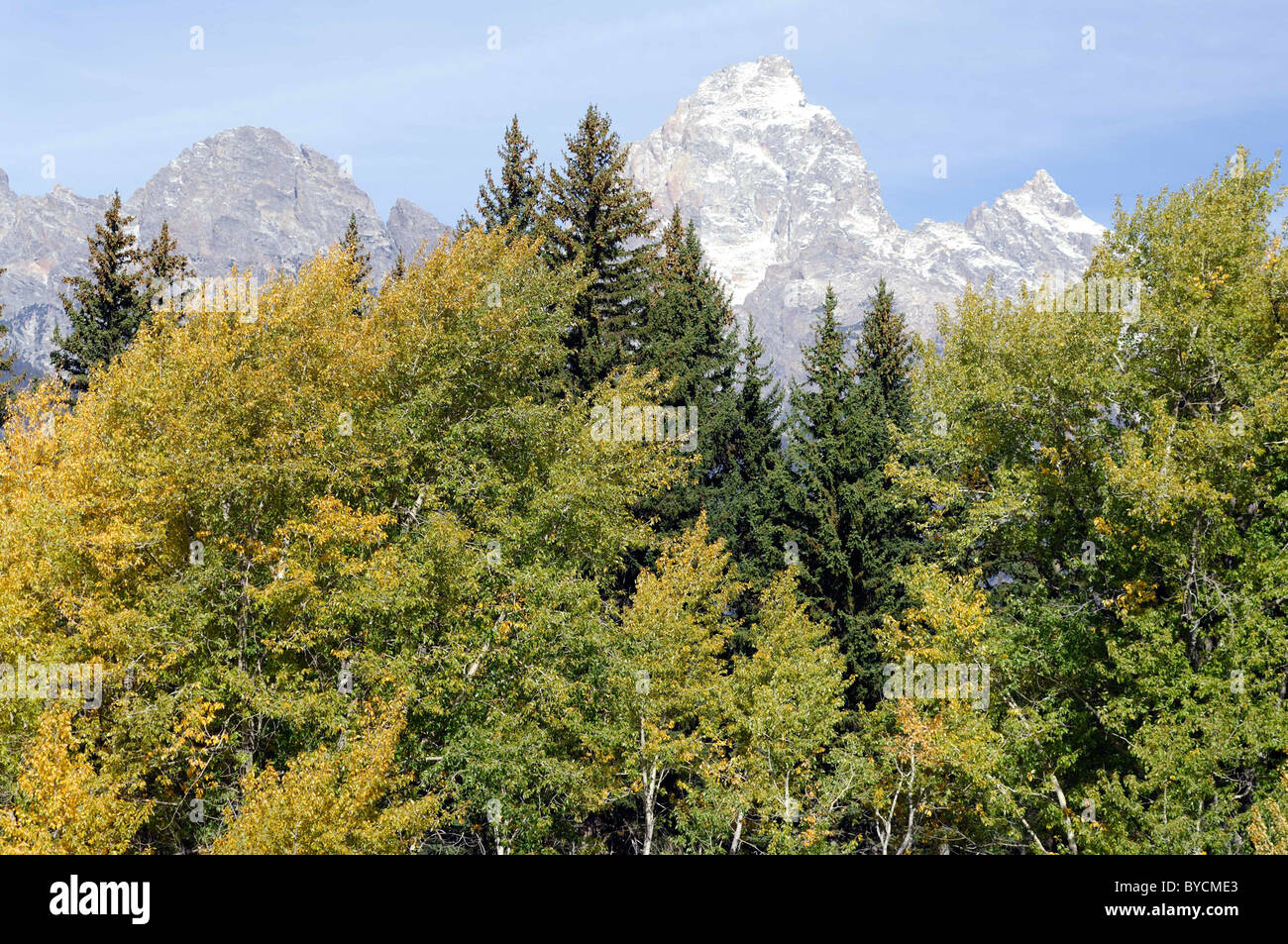 Fall, Grand Teton National Park, Jackson Hole, Wyoming Stock Photo - Alamy