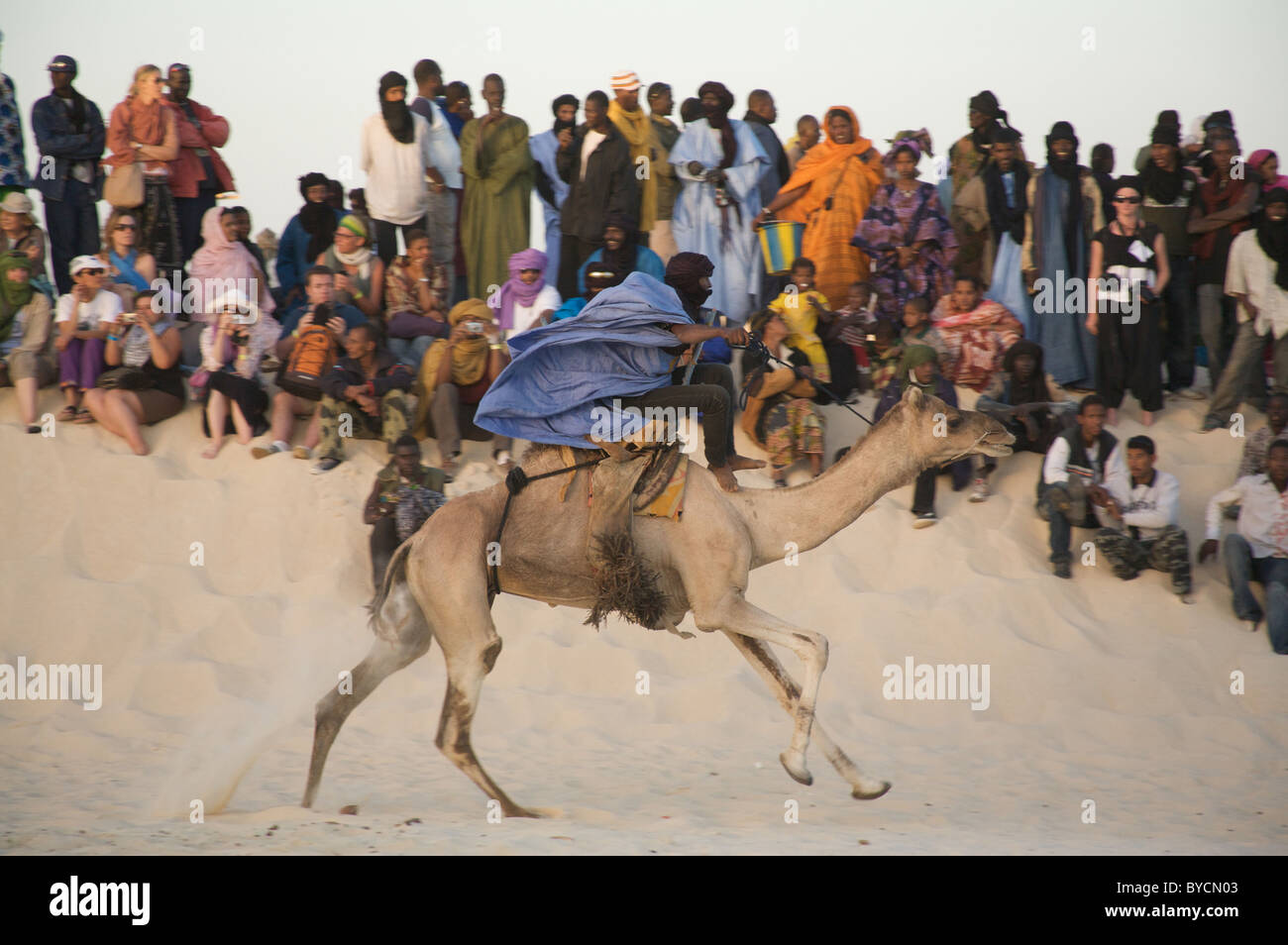 Camel racing at the Festival in the Desert, Essakane, Near Timbuktu ...