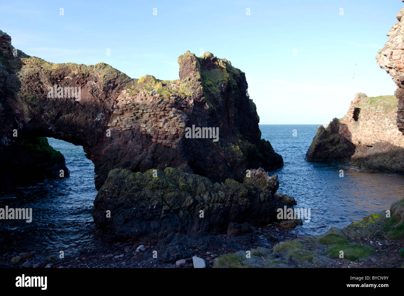 Dunbar old harbour hi-res stock photography and images - Alamy