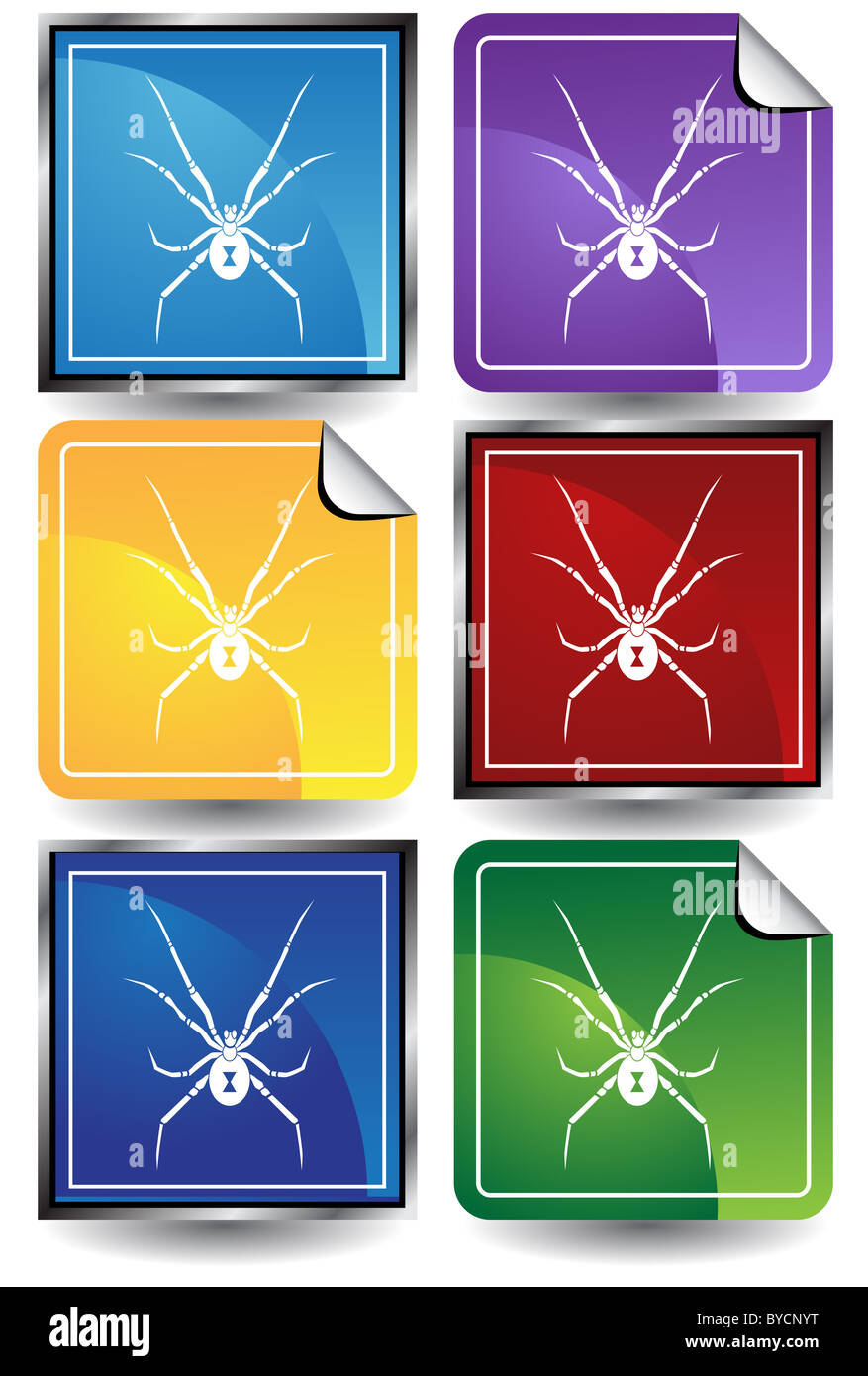 An image of a spider Stock Photo - Alamy