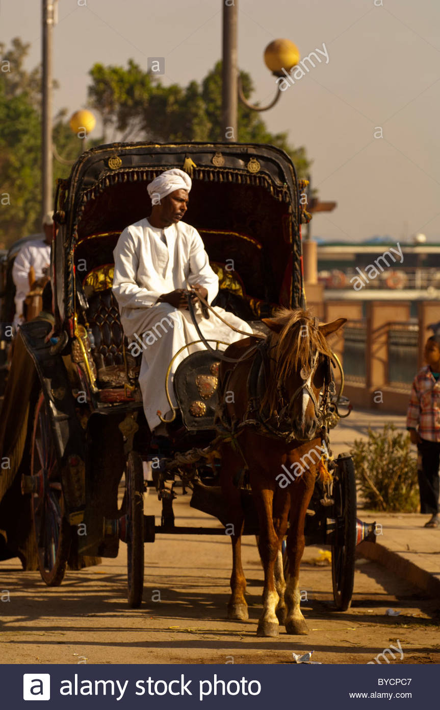 Caleche Egypt Stock Photos & Caleche Egypt Stock Images - Alamy