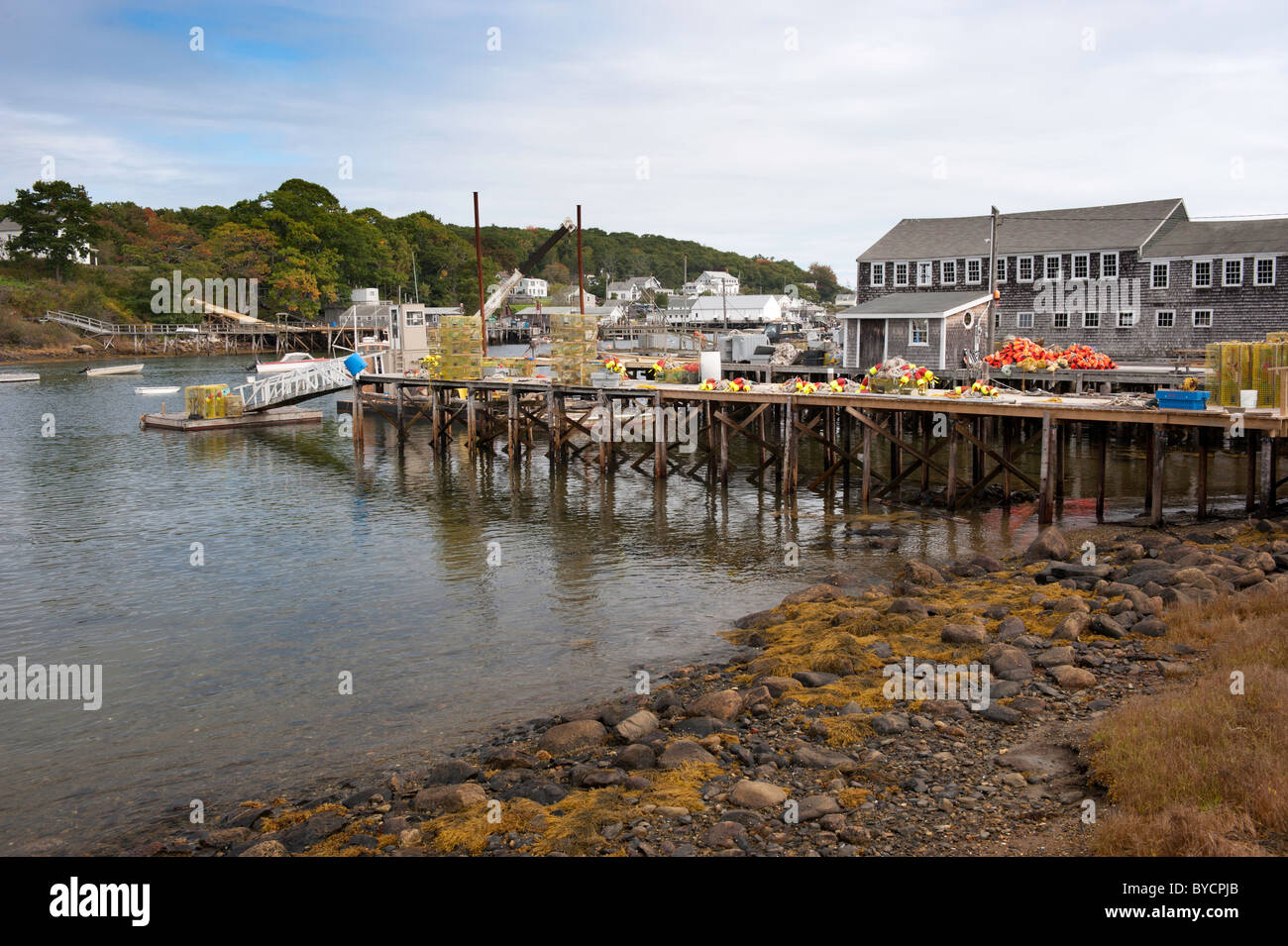 Lobster Fishing Wharf in the small New England coastal village of New ...