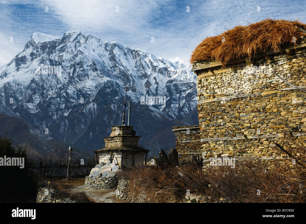 Mustang nepal hi-res stock photography and images - Alamy