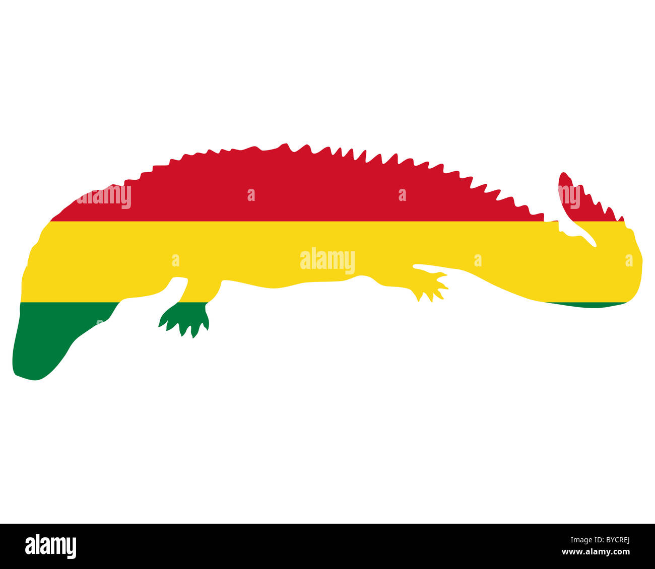 Caiman bolivia hi-res stock photography and images - Alamy