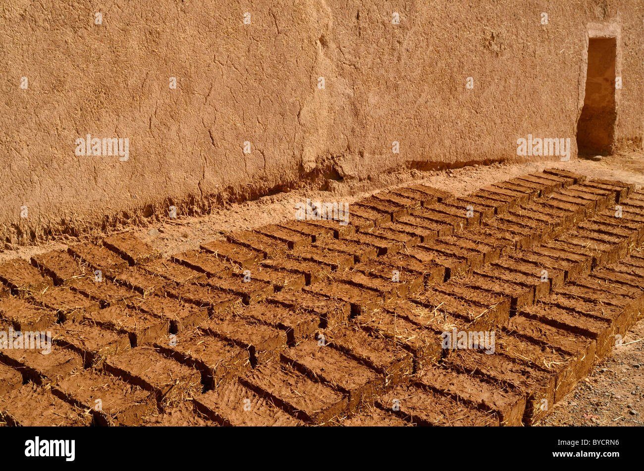 Drying mud hi-res stock photography and images - Alamy