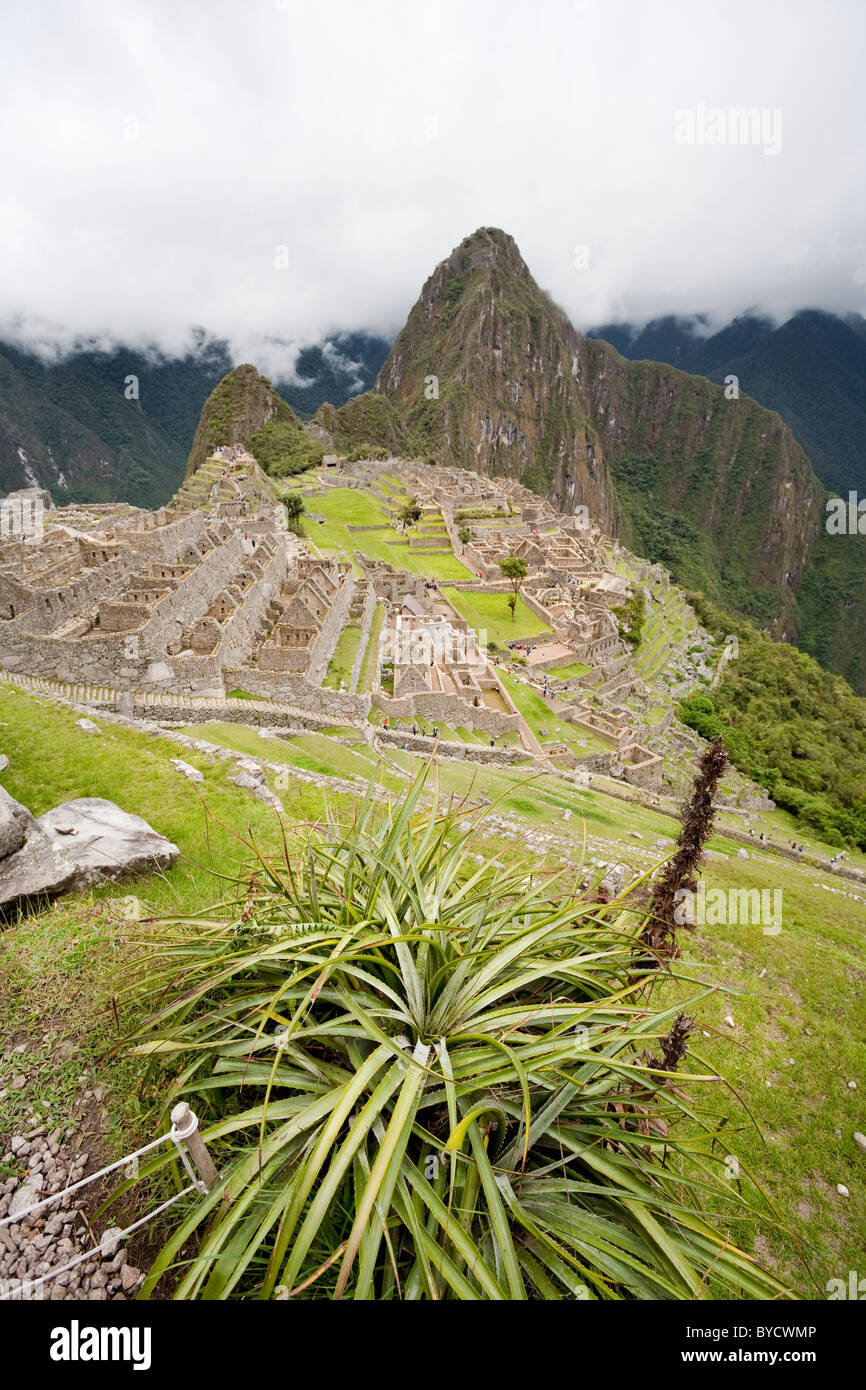 Inca Ruins at Machu Picchu, Peru, South America Stock Photo - Alamy
