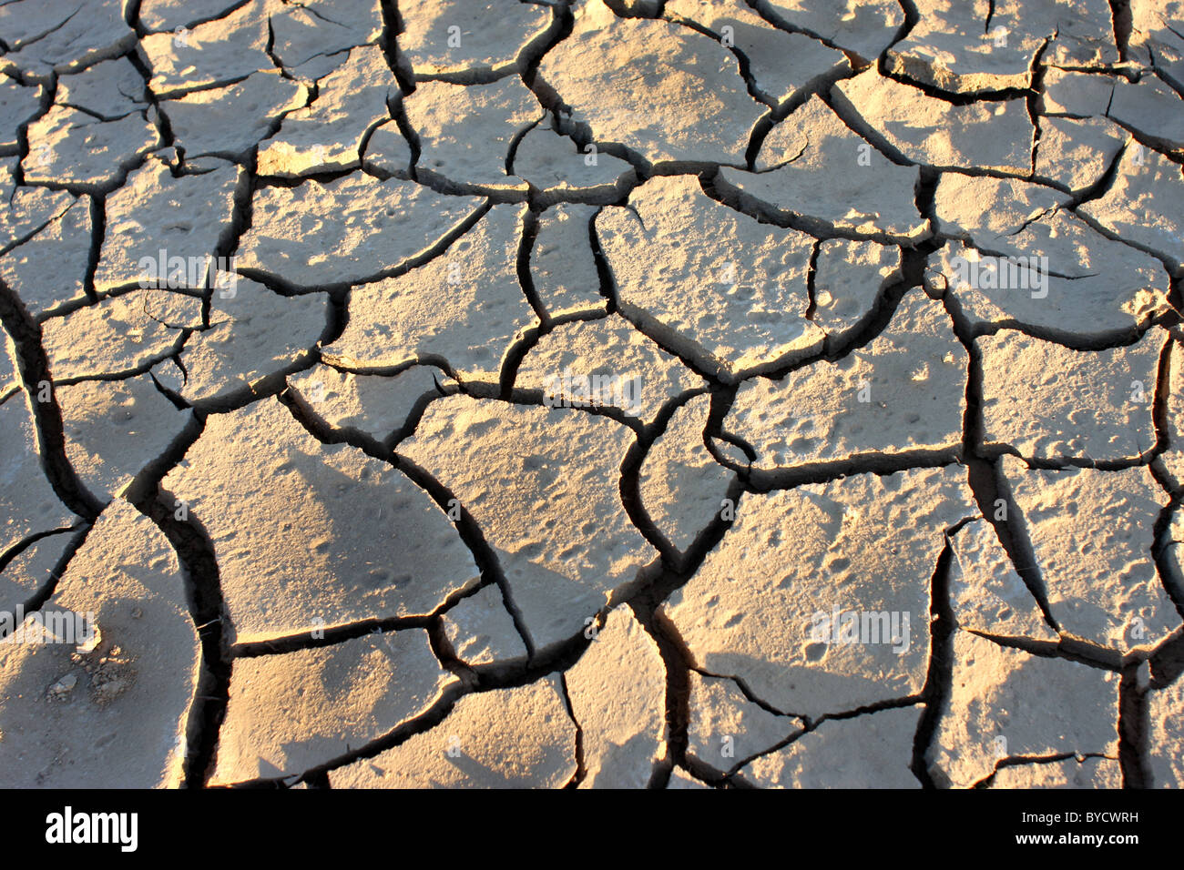 Dry cracked soil Stock Photo - Alamy
