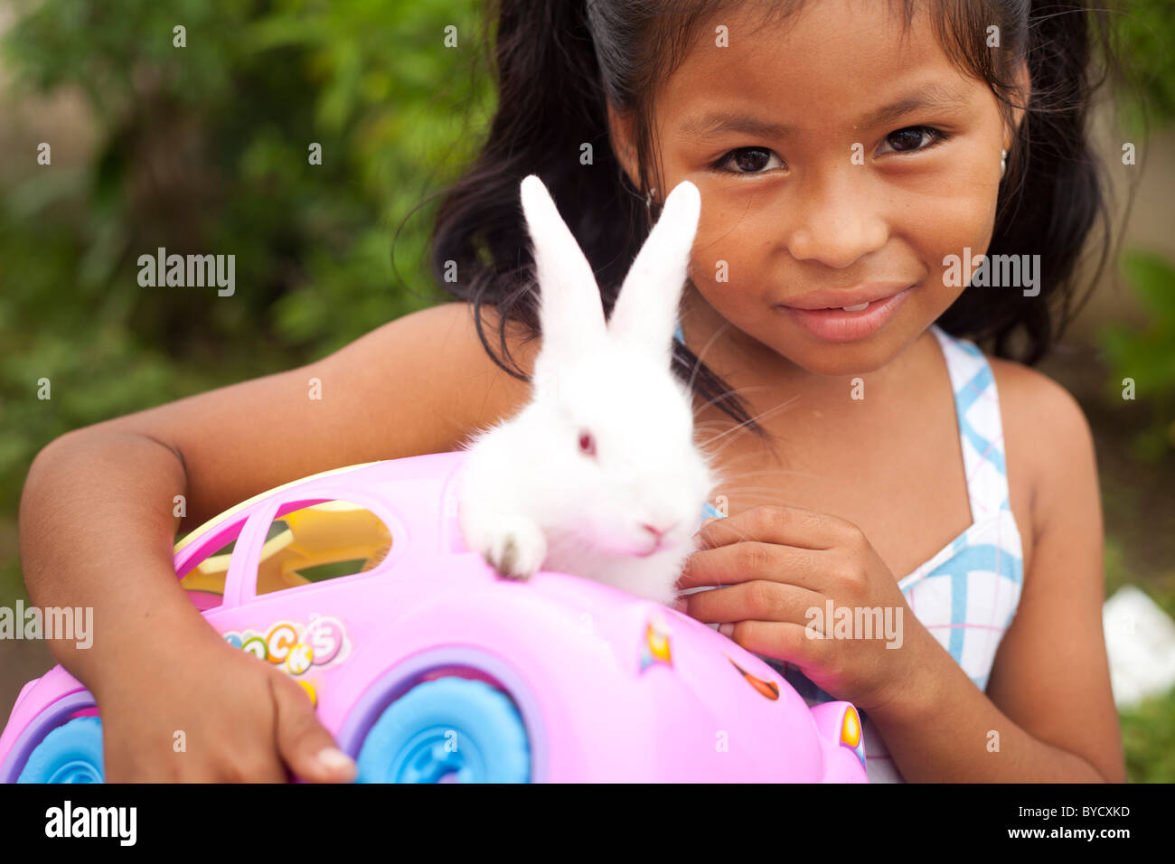 Caribbean rabbit hi-res stock photography and images - Alamy