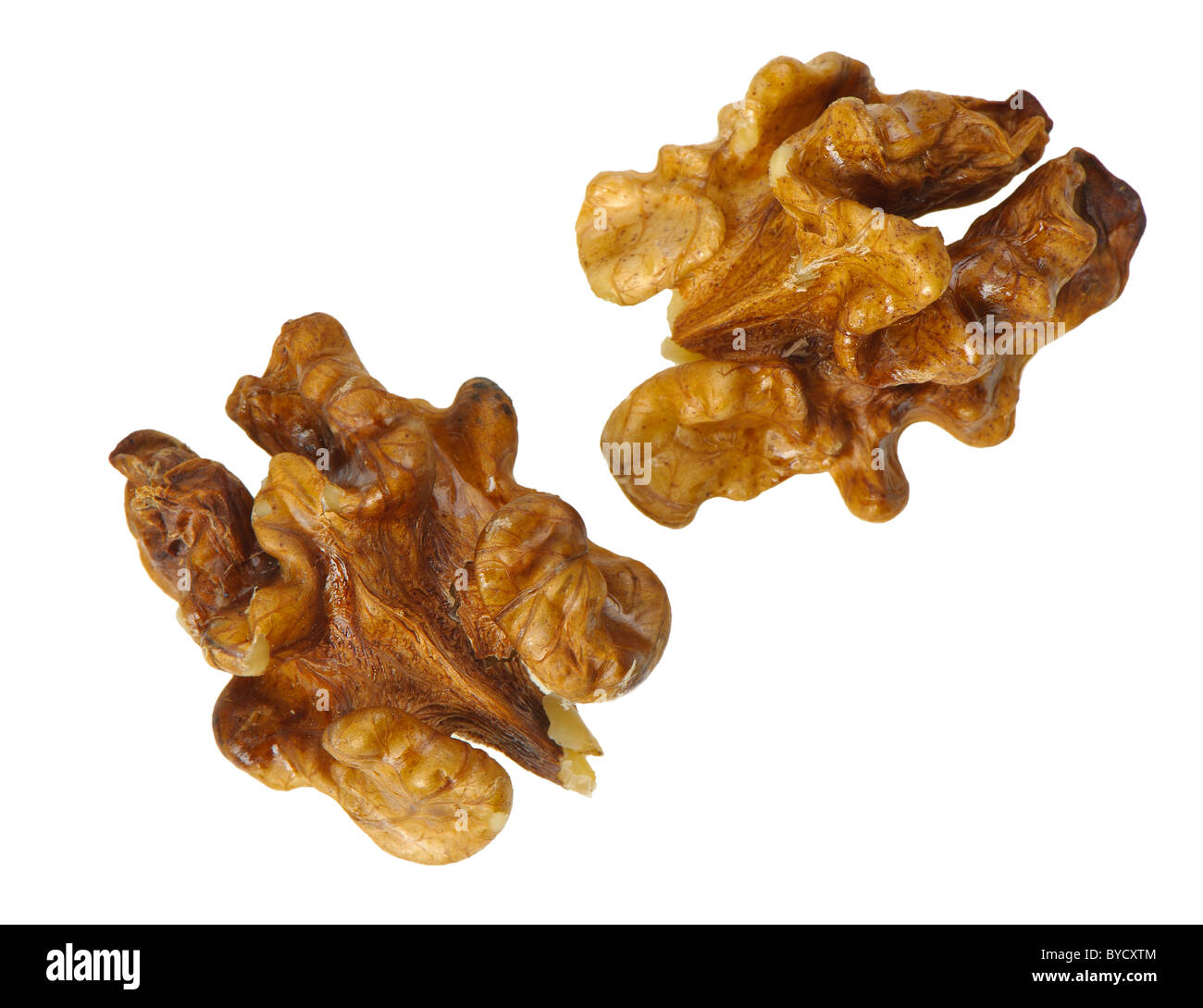 Kernel walnut. A photo close up walnut. It is isolated on a white ...