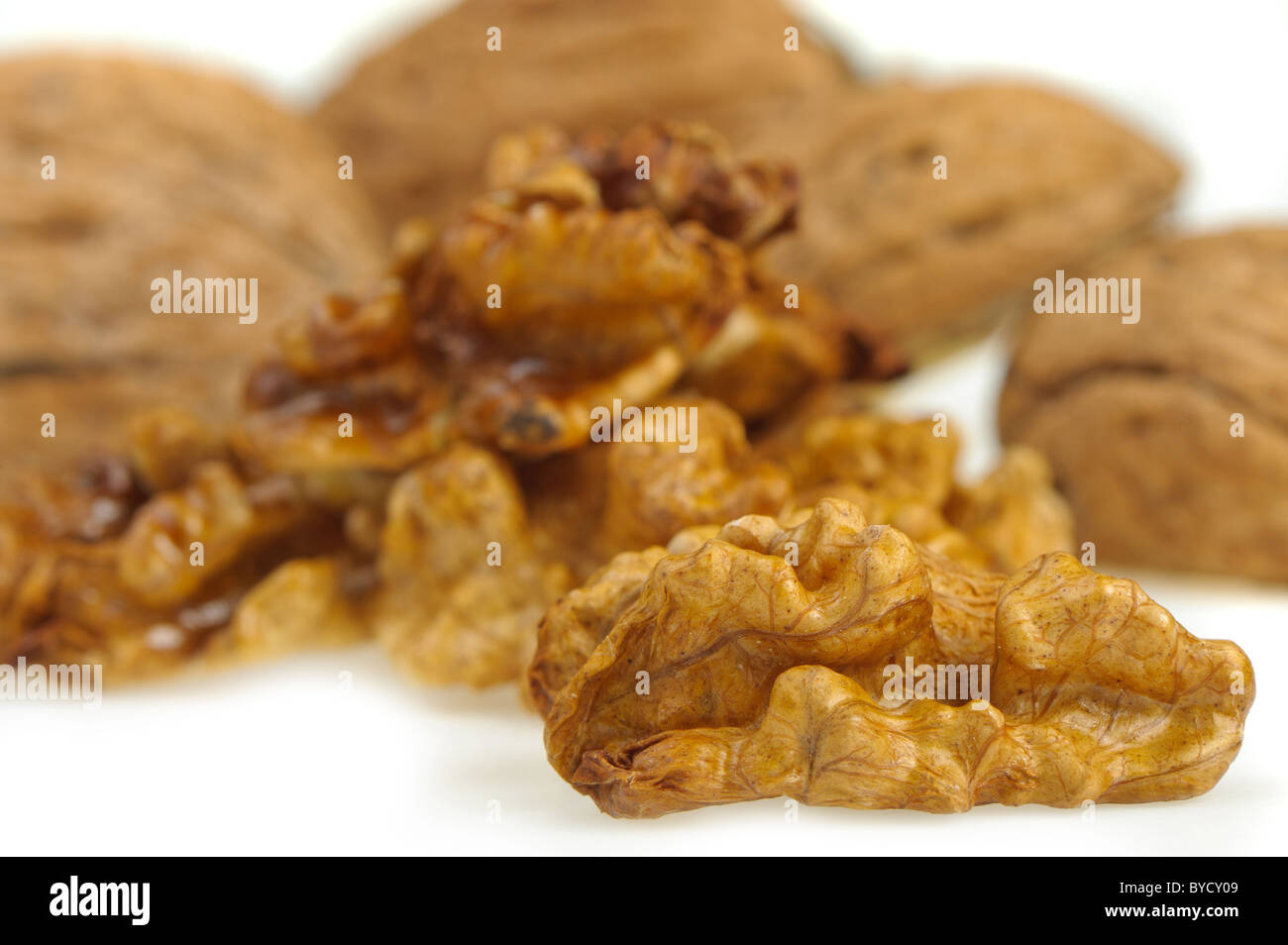 Kernel walnut. A photo close up walnut. It is isolated on a white ...