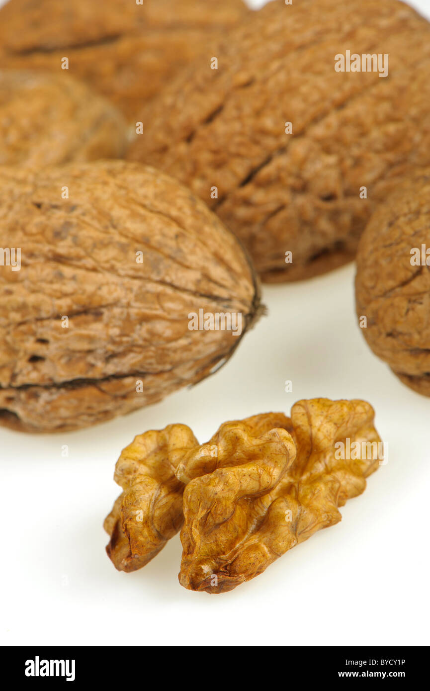 Kernel walnut. A photo close up walnut. It is isolated on a white ...