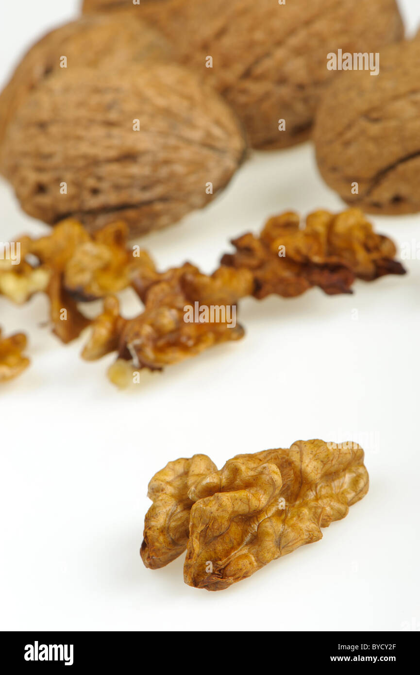 Kernel walnut. A photo close up walnut. It is isolated on a white ...