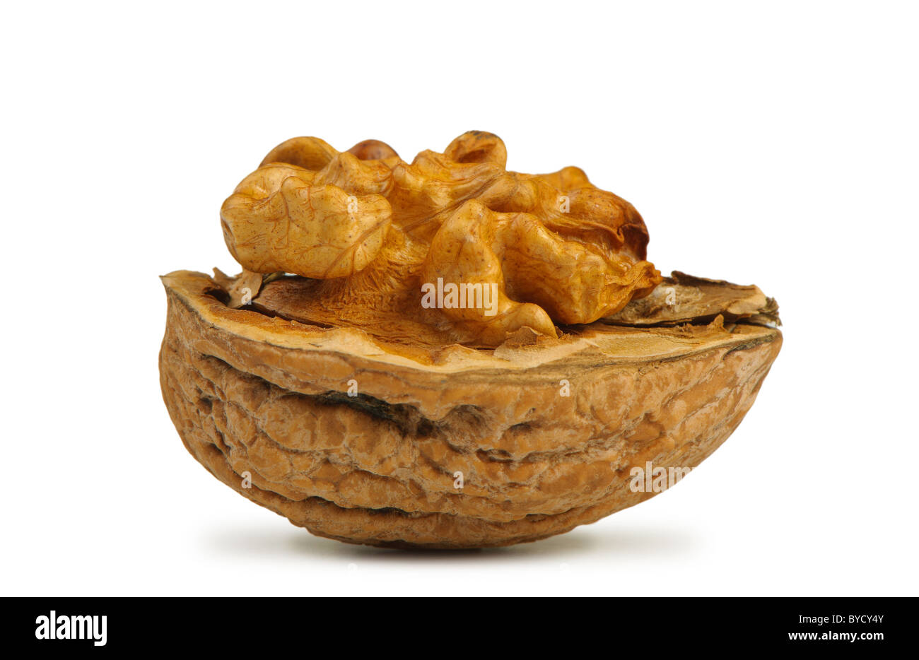 Split walnut. A photo close up walnut. It is isolated on a white ...