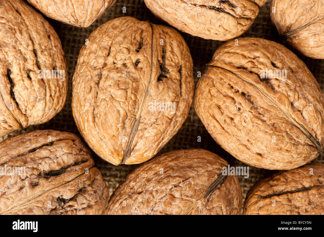 Walnut background. A photo close up walnut from above Stock Photo - Alamy