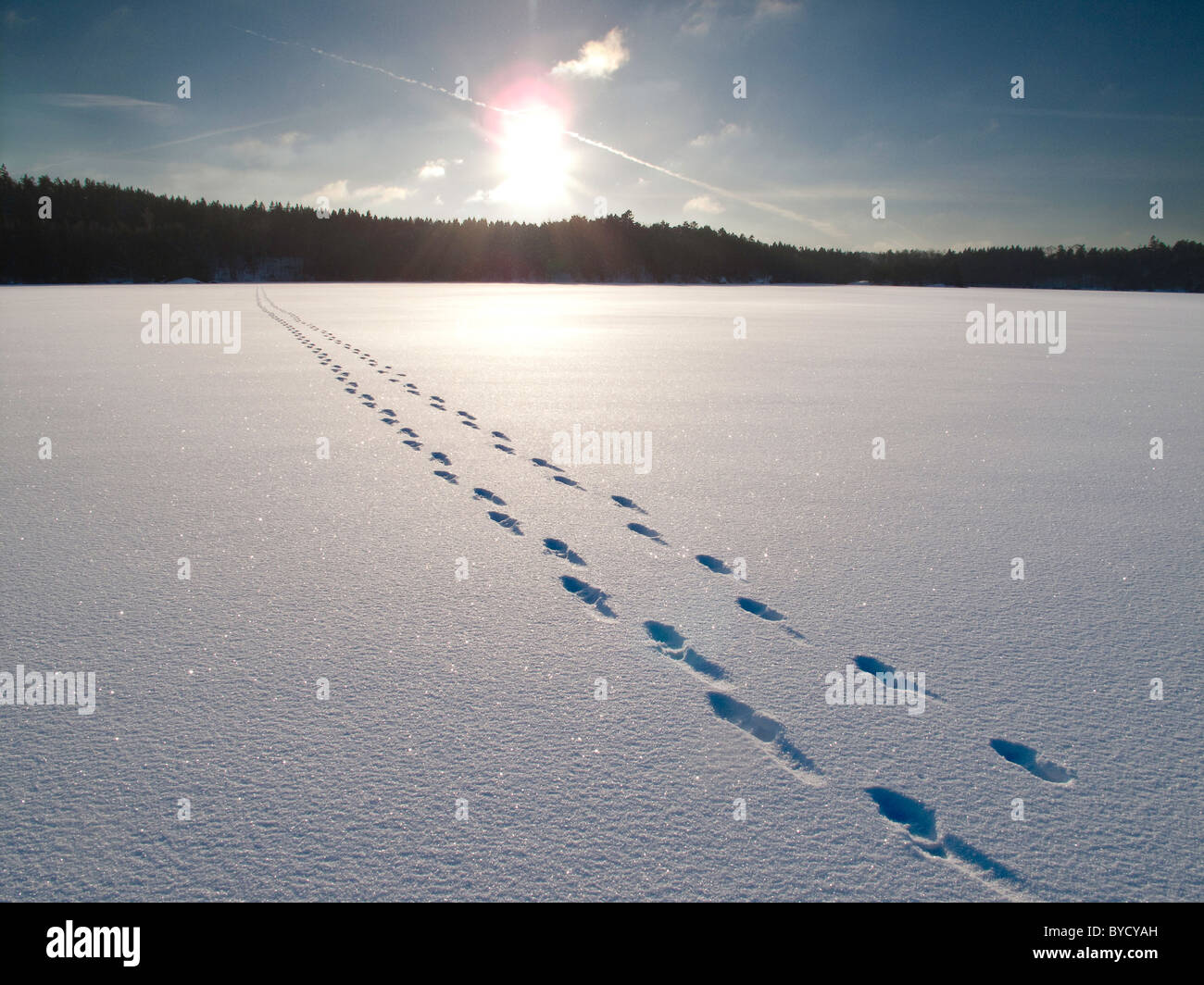 Footprints in snow on a frozen lake in Scandinavian landscape Stock ...