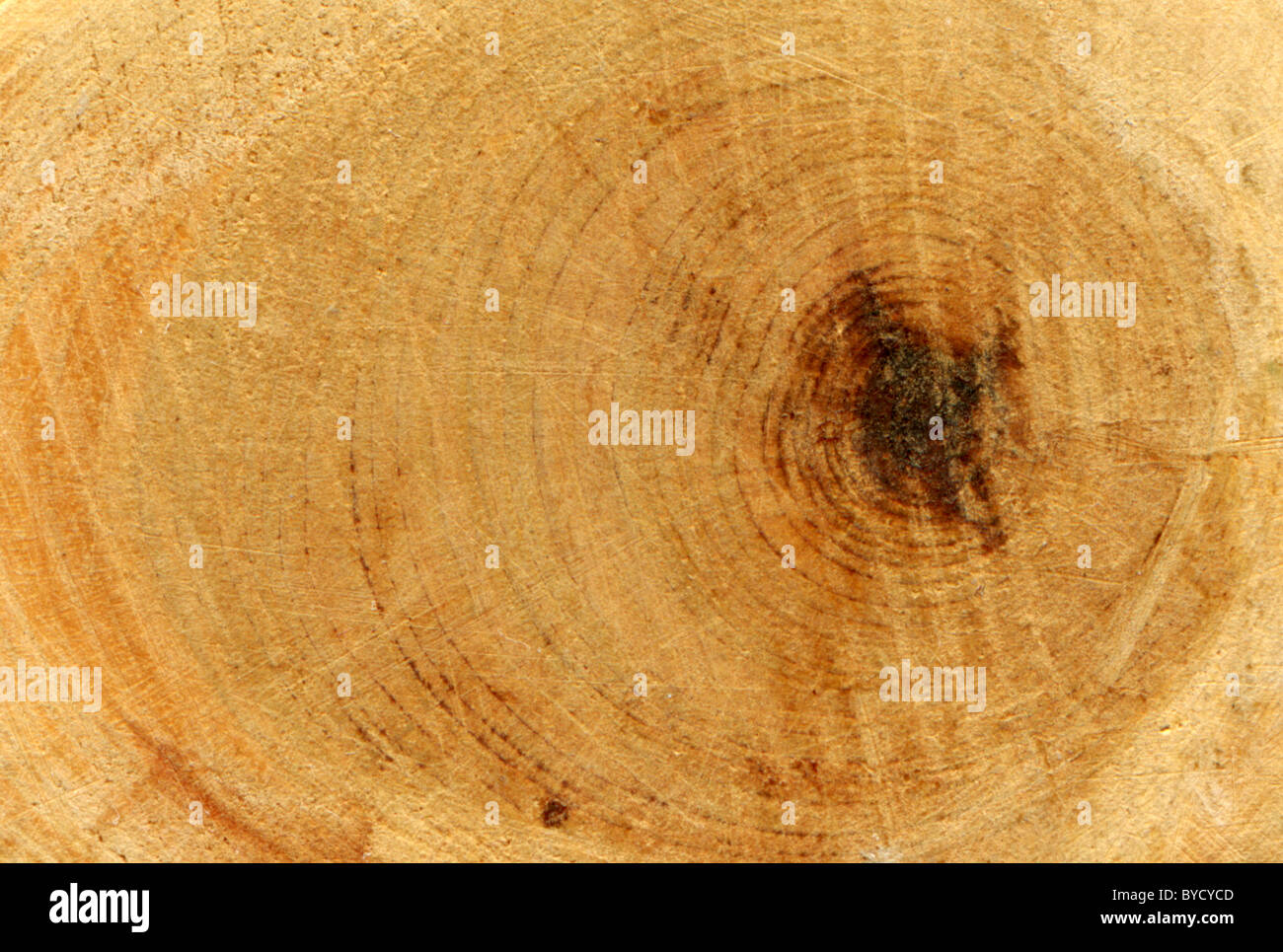 Juniper log hi-res stock photography and images - Alamy