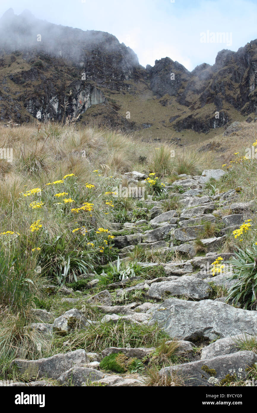 Inca Trail in the Andes Mountains in Peru Stock Photo - Alamy