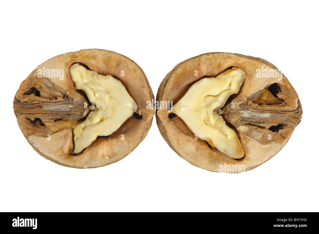 Split walnut. It is isolated on a white background Stock Photo - Alamy
