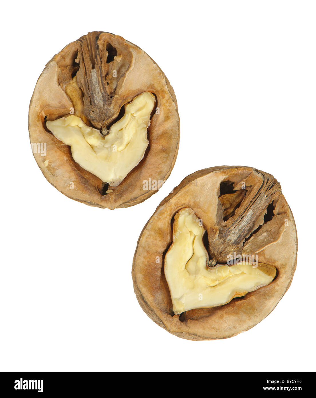 Walnut split Cut Out Stock Images & Pictures - Alamy