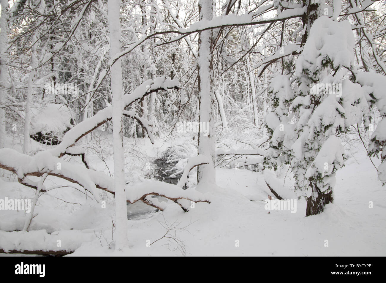 Breakheart reservation hi-res stock photography and images - Alamy
