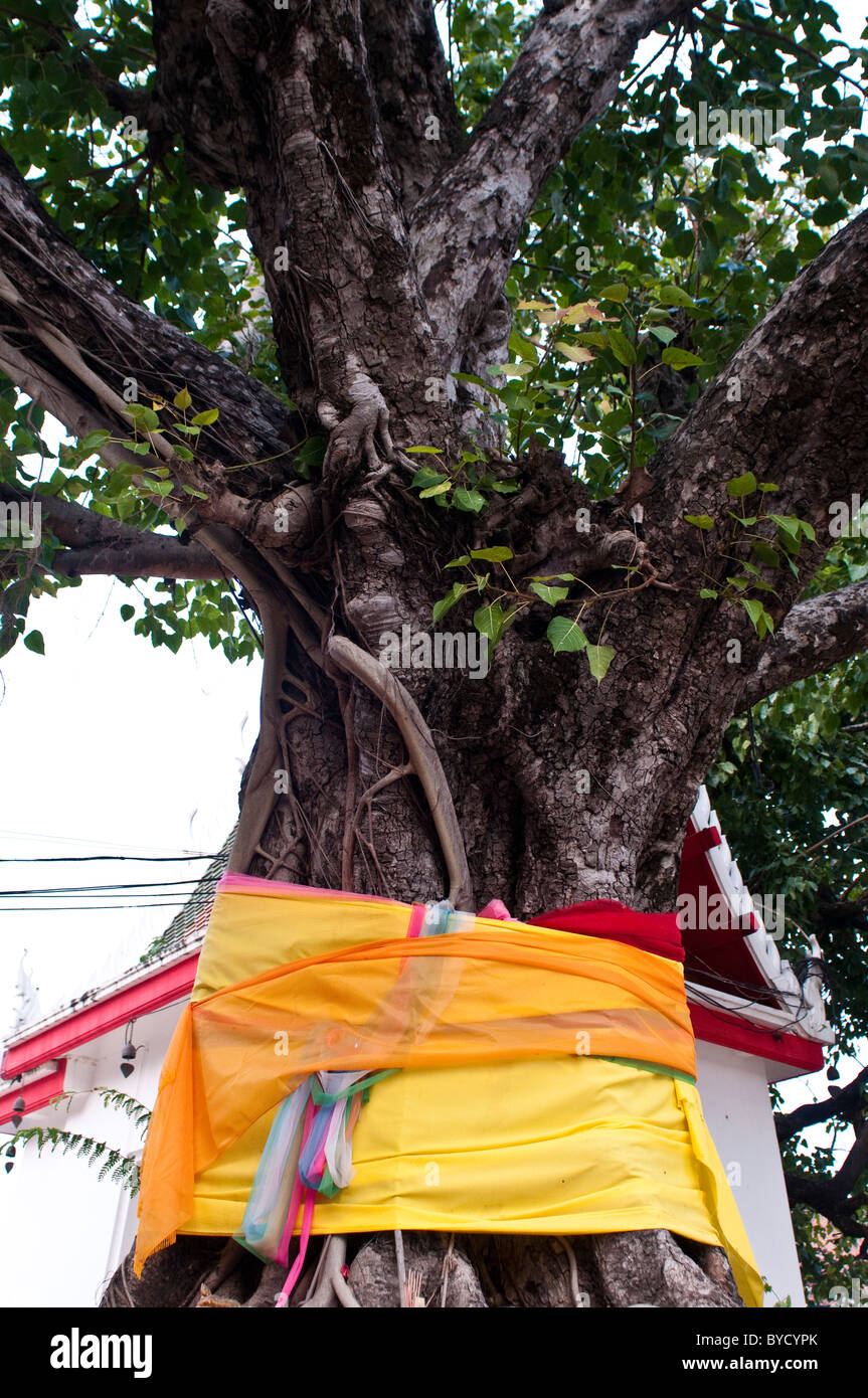 Buddhist ribbons hi-res stock photography and images - Alamy