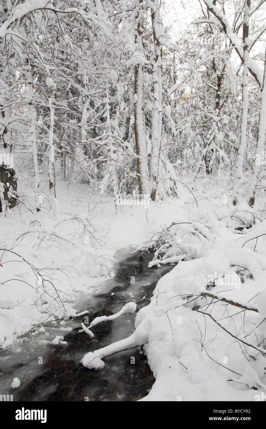 Breakheart reservation hi-res stock photography and images - Alamy