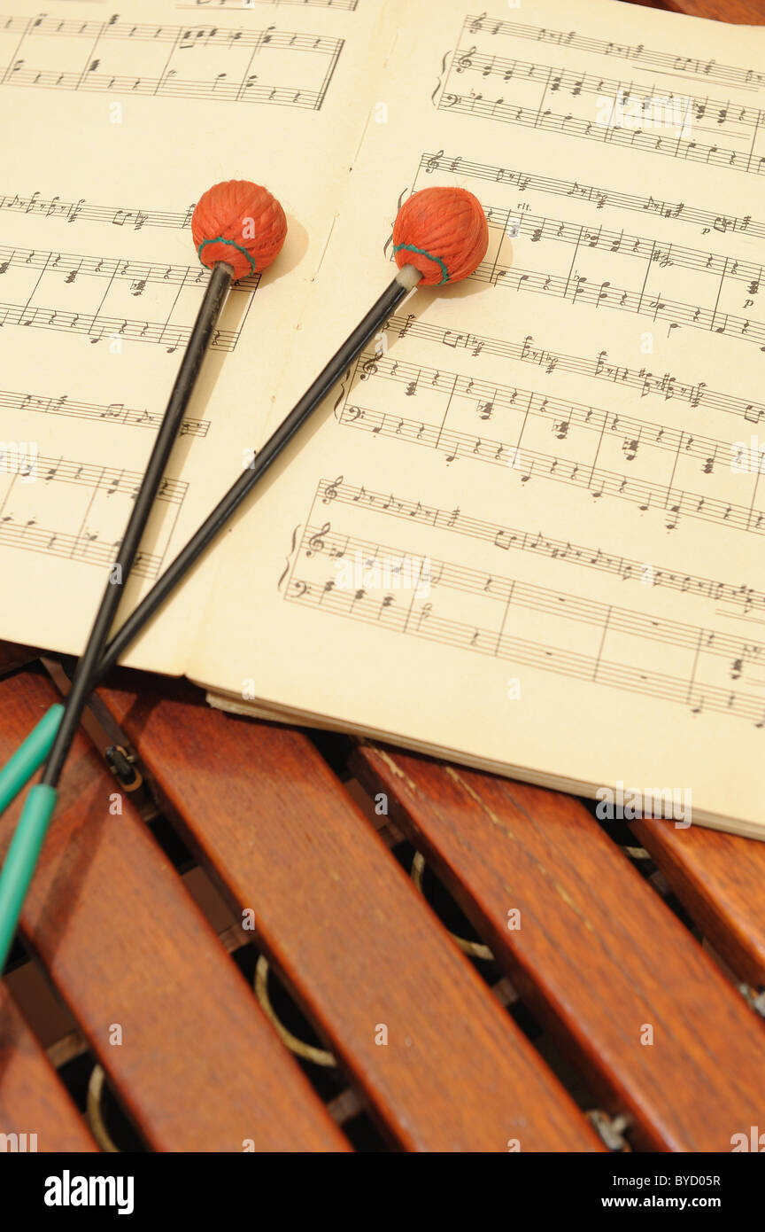 Wood xylophone with notes and mallets. A photo close up. Original color ...