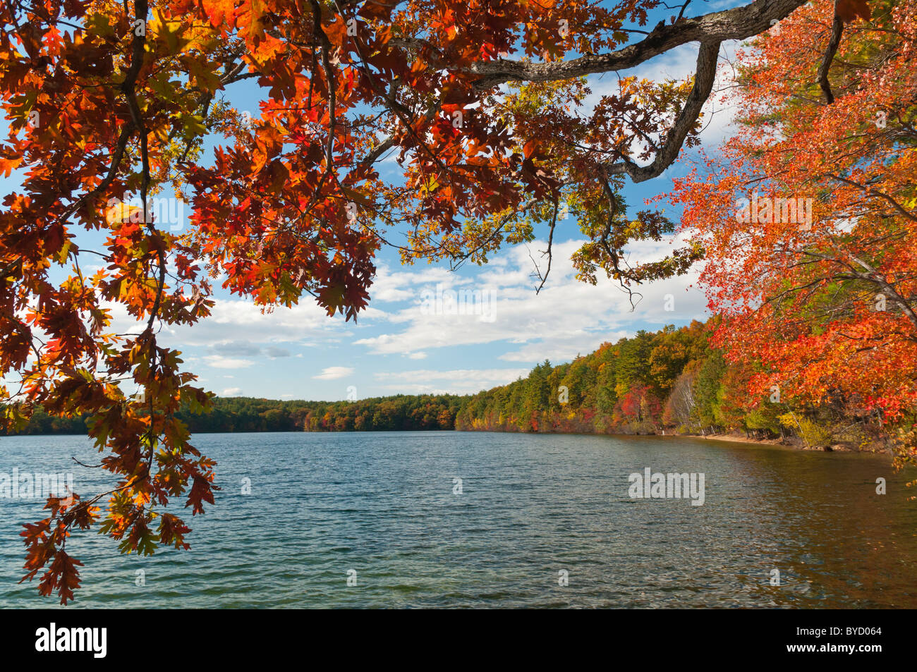Concord walden pond hi-res stock photography and images - Alamy