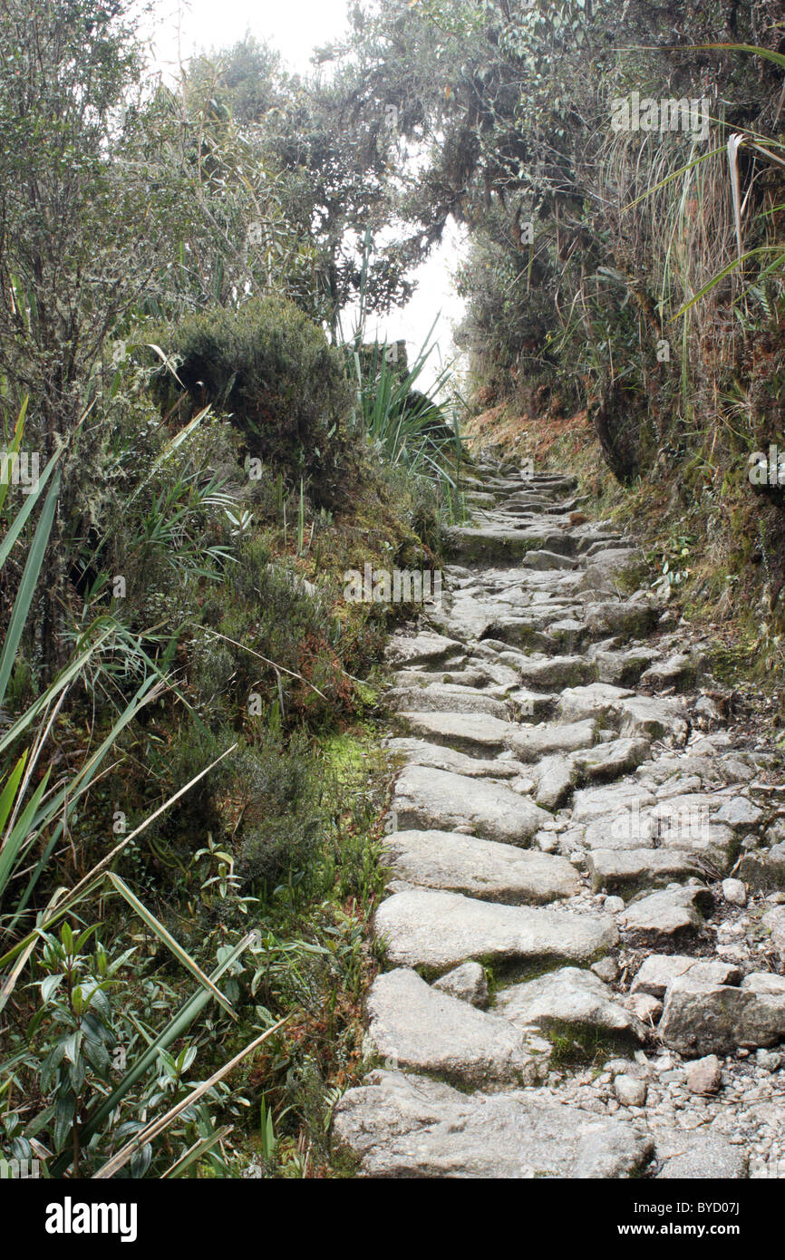 Cloud Forest Inca Trail