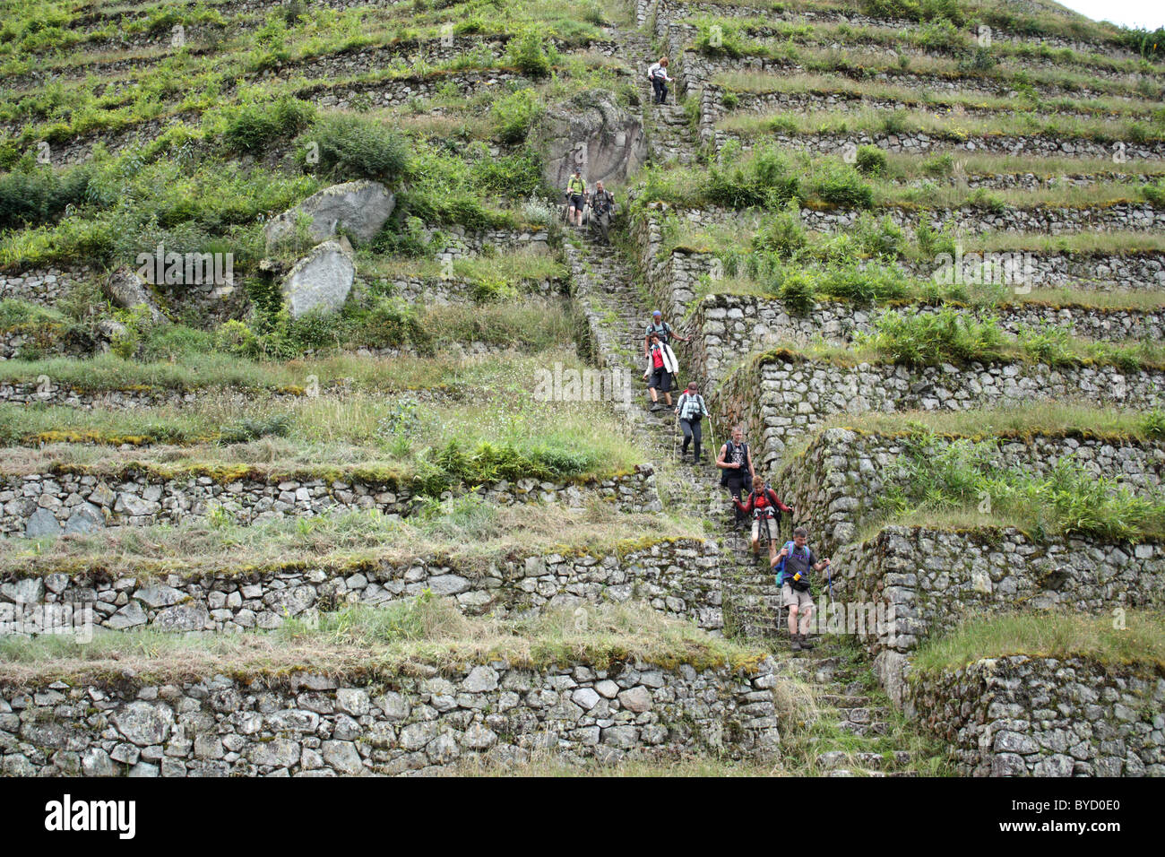 Inca Terraces at Intipata Stock Photo - Alamy