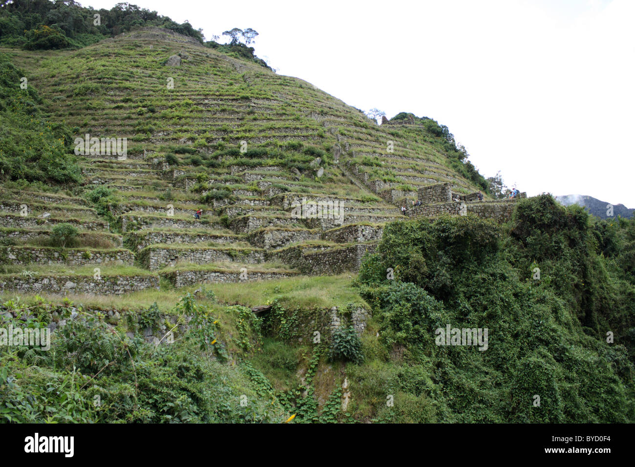 Inca Terraces at Intipata Stock Photo - Alamy