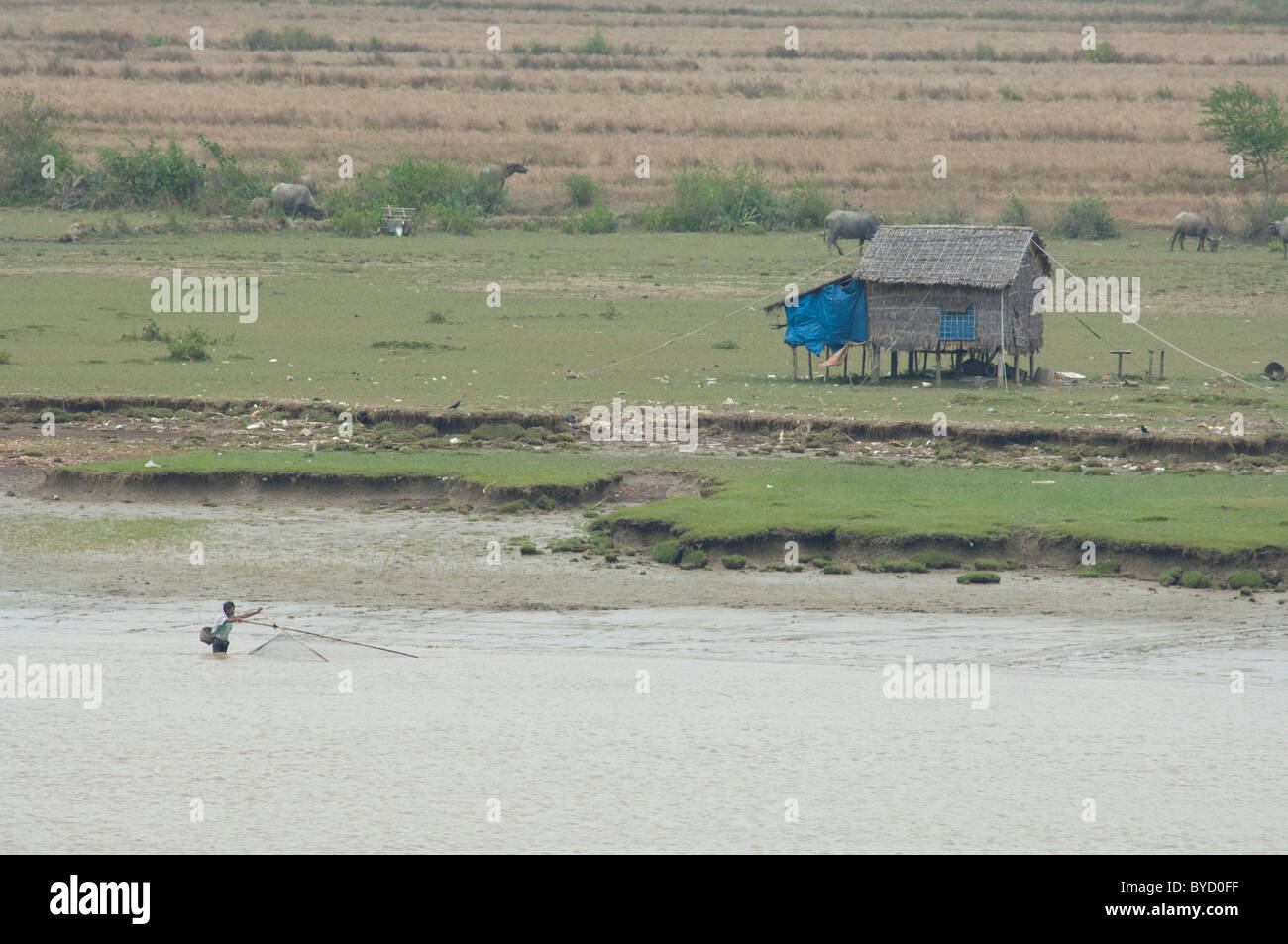 Myanmar (aka Burma), Yangon (aka Rangoon). Everyday rural farm life ...