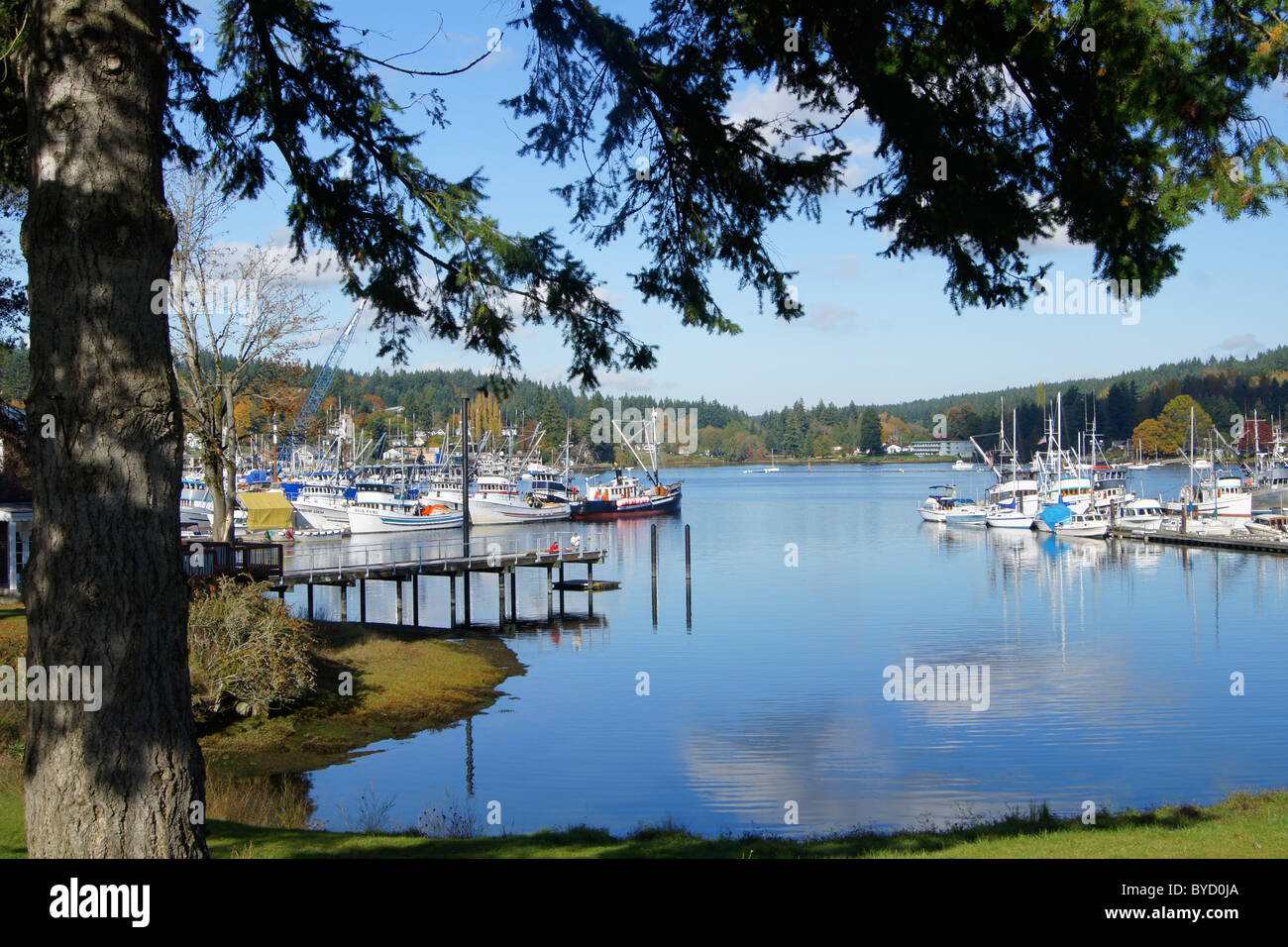 Harbor full boats hi-res stock photography and images - Alamy