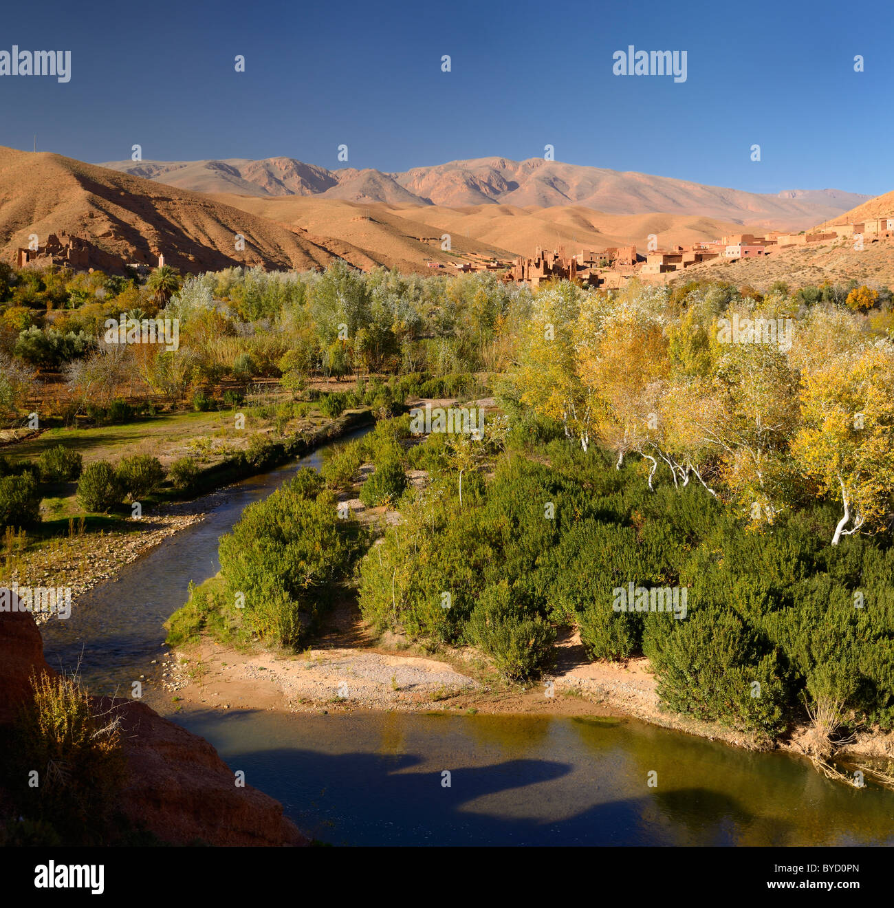 Ait Arbi Kasbah ruins along Wadi Dades river in the Dades Gorge of the ...