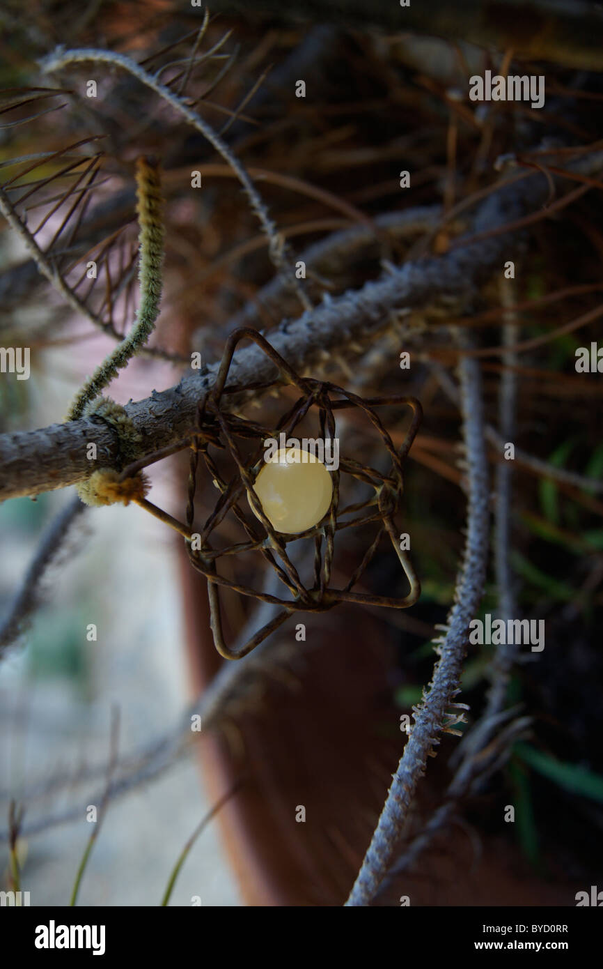 Hay wire hi-res stock photography and images - Alamy